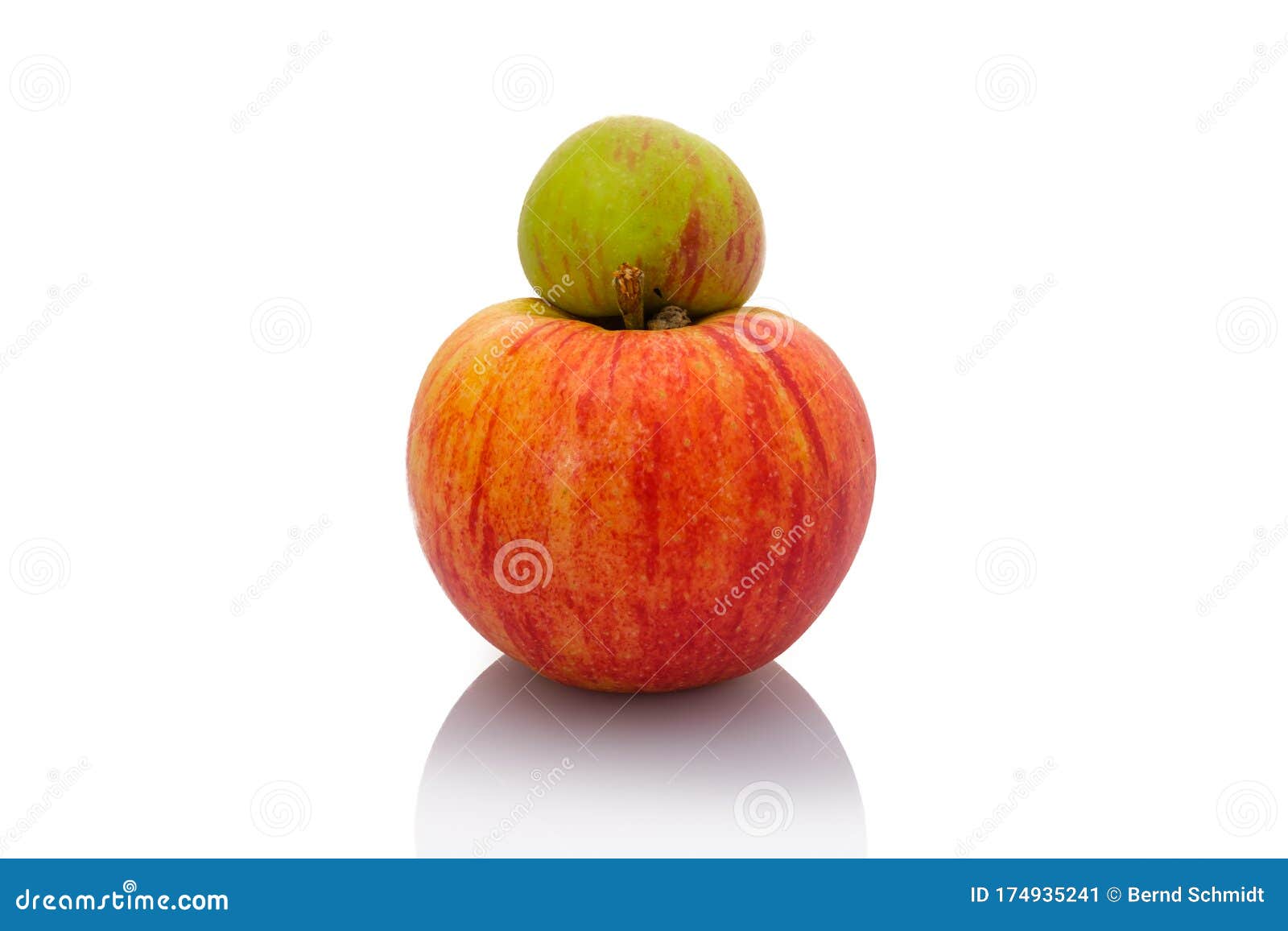 Apple with twin fruit stock image. Image of garden, healthy - 174935241