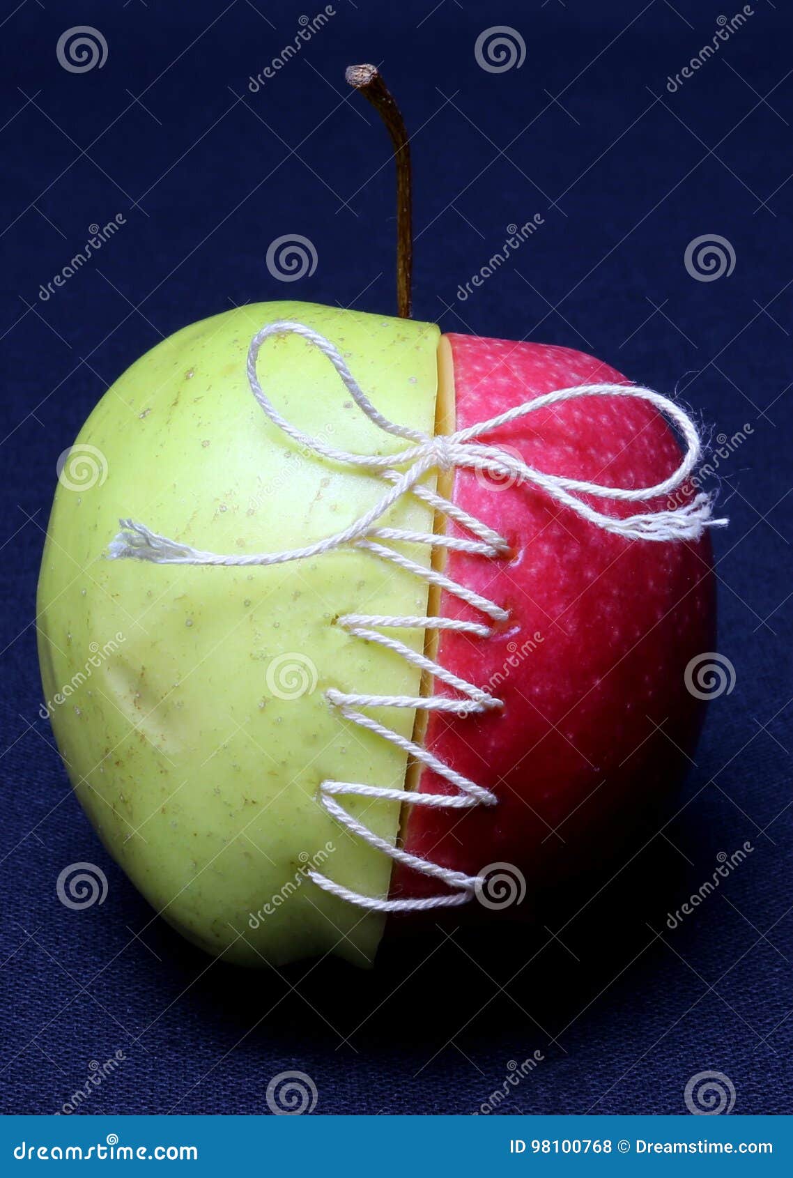 Apple stock photo. Image of life, stem, black, fall, autumn - 98100768