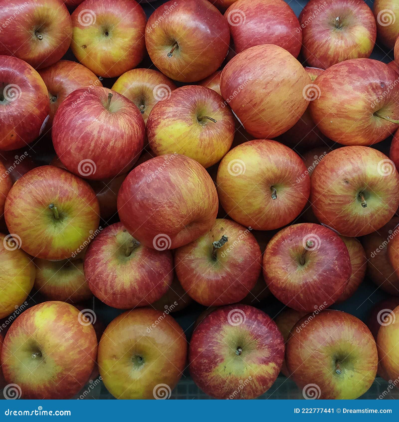 Apple two tone stock image. Image of evergreen, tone - 222777441