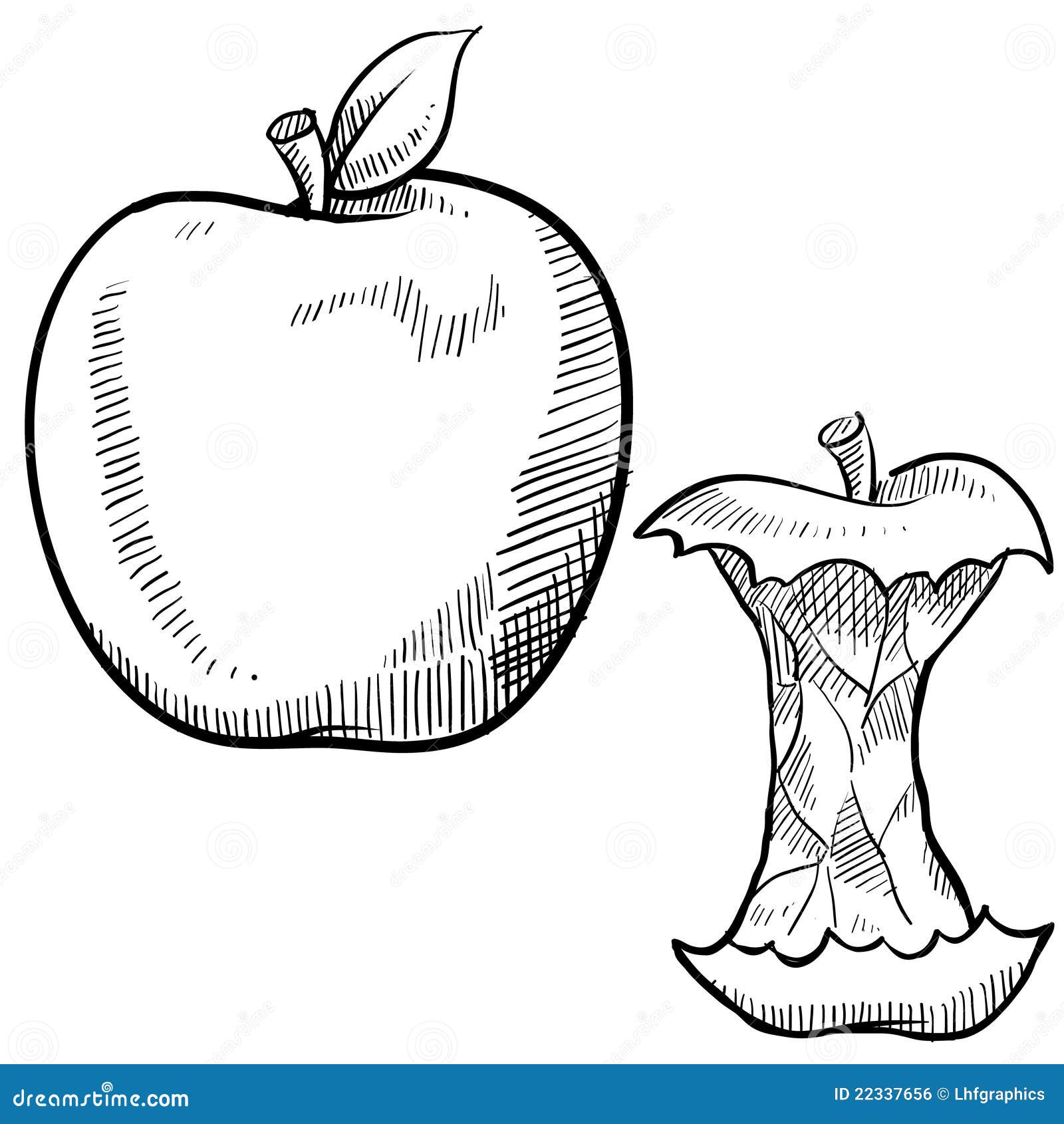Apple Und Apfel Entkernen Skizze Vektor Abbildung - Illustration von ...