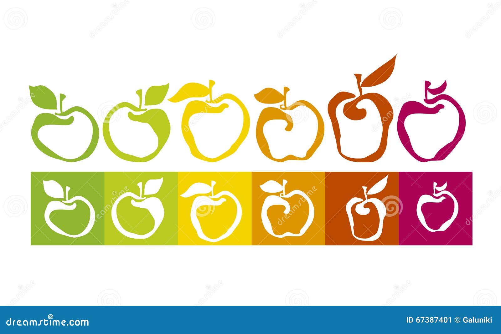 Apple varieties stock vector. Illustration of vitamin - 67387401