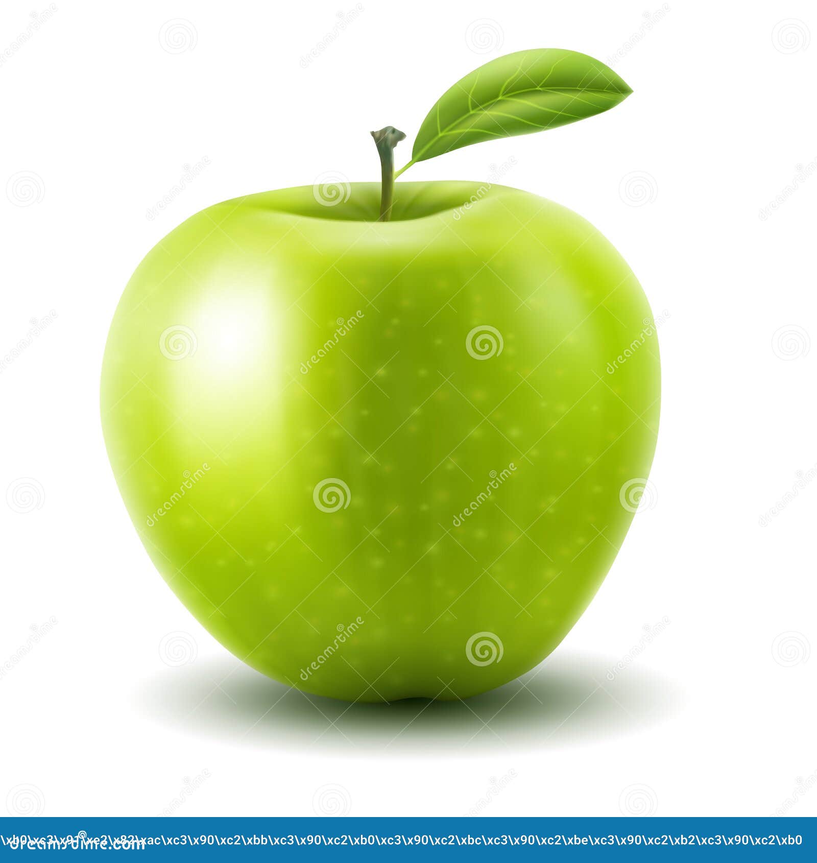 Apple. Vector Illustration Of Fresh Green Apple With Single Leaf ...