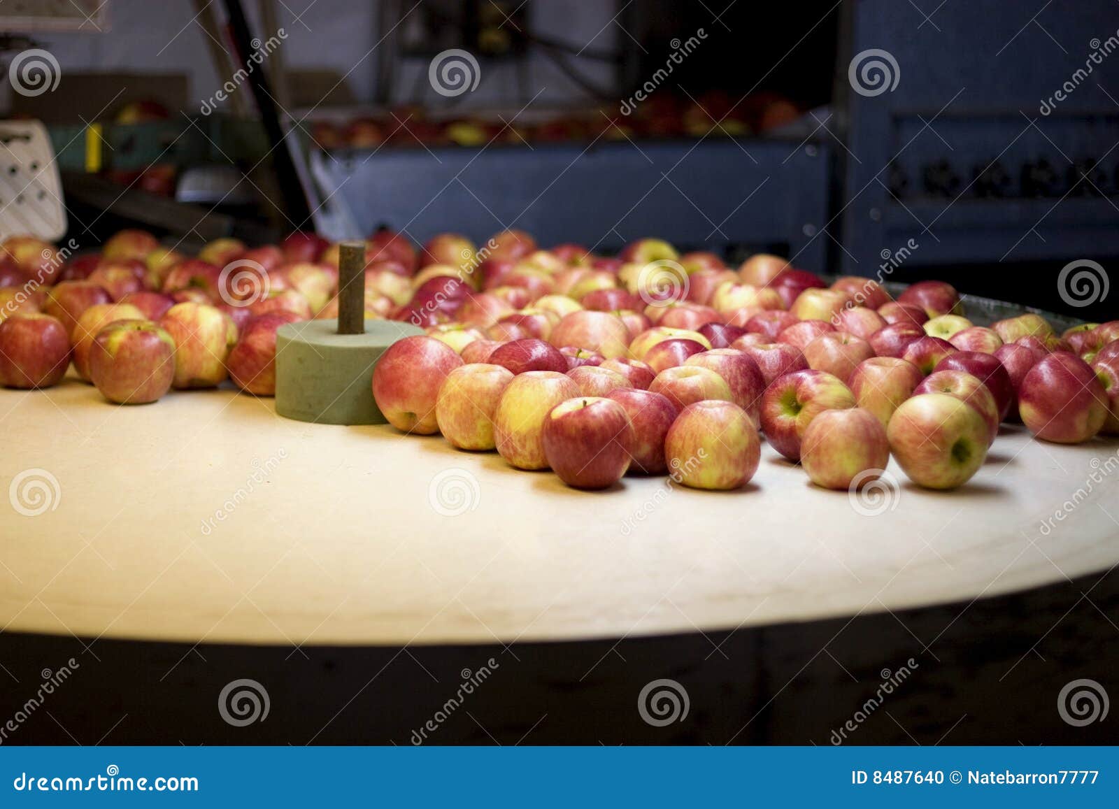 Apple washing stock photo. Image of vintage, apples, vegetable - 8487640