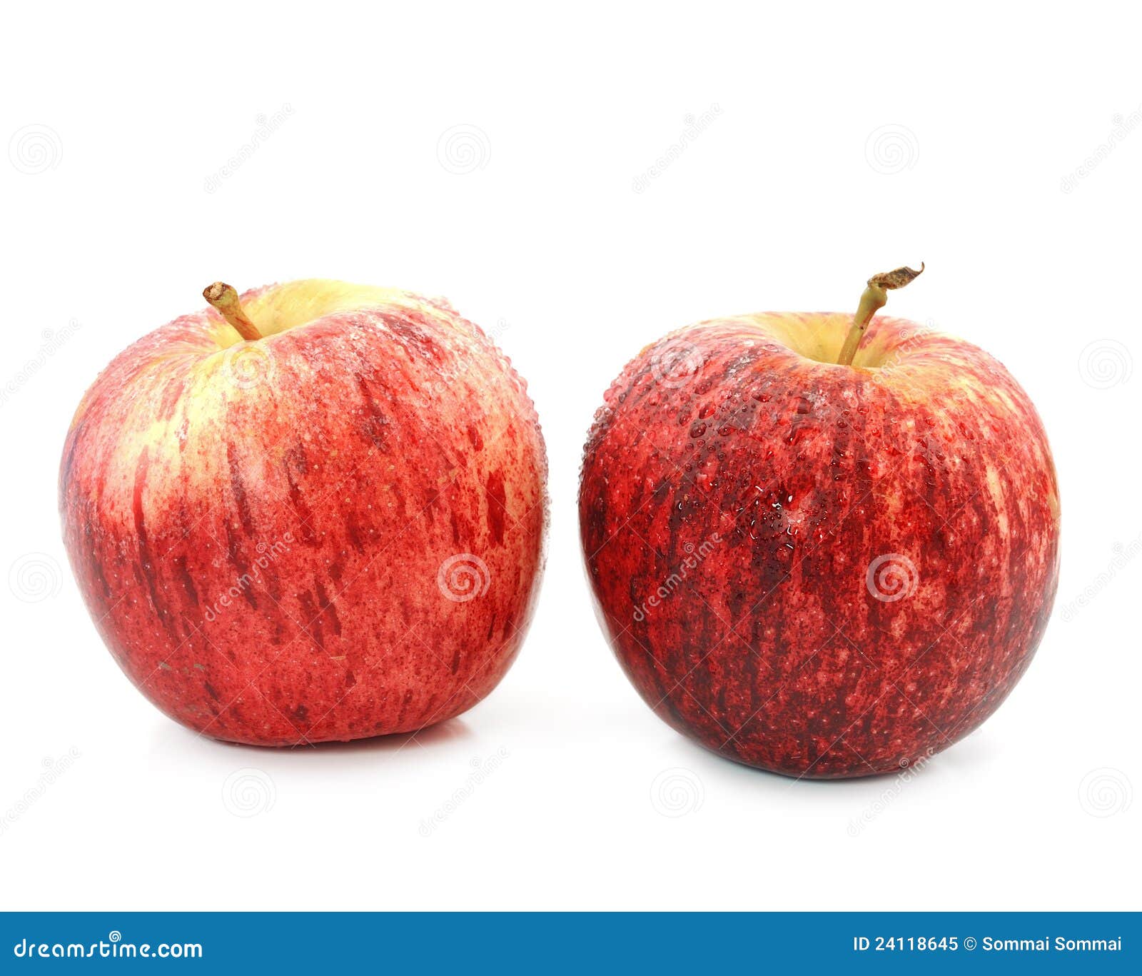 Apple on white stock image. Image of fresh, healthy, nature - 24118645