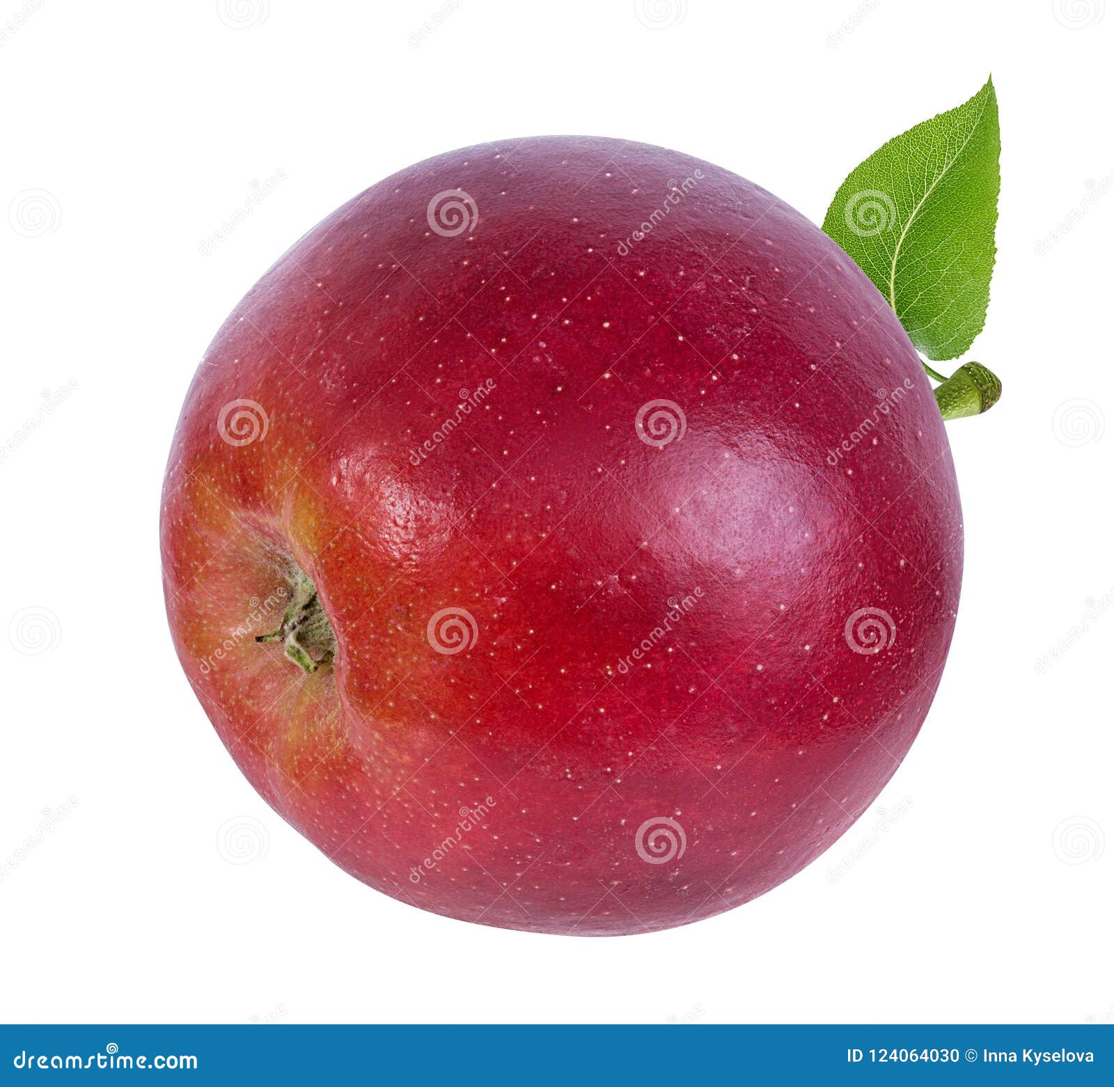 Apple on a White Background Stock Photo - Image of background ...