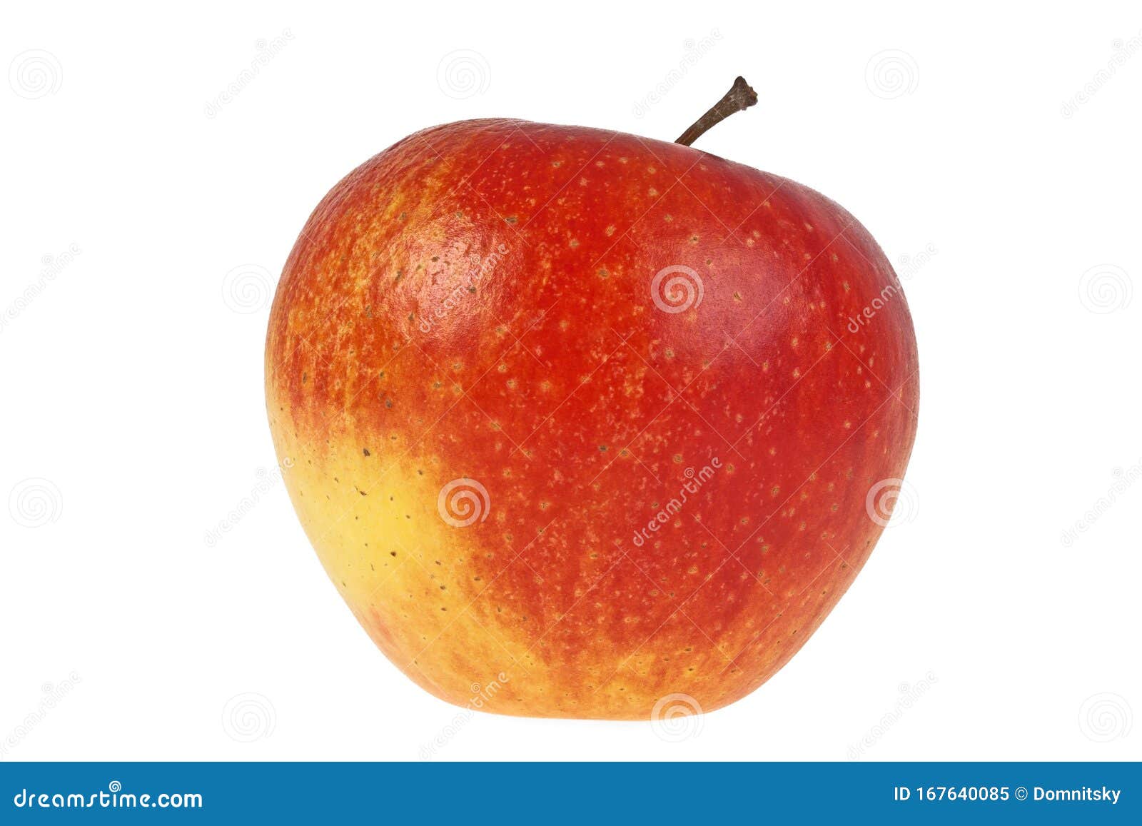 Apple on a White Background Stock Image - Image of concept, leaf: 167640085