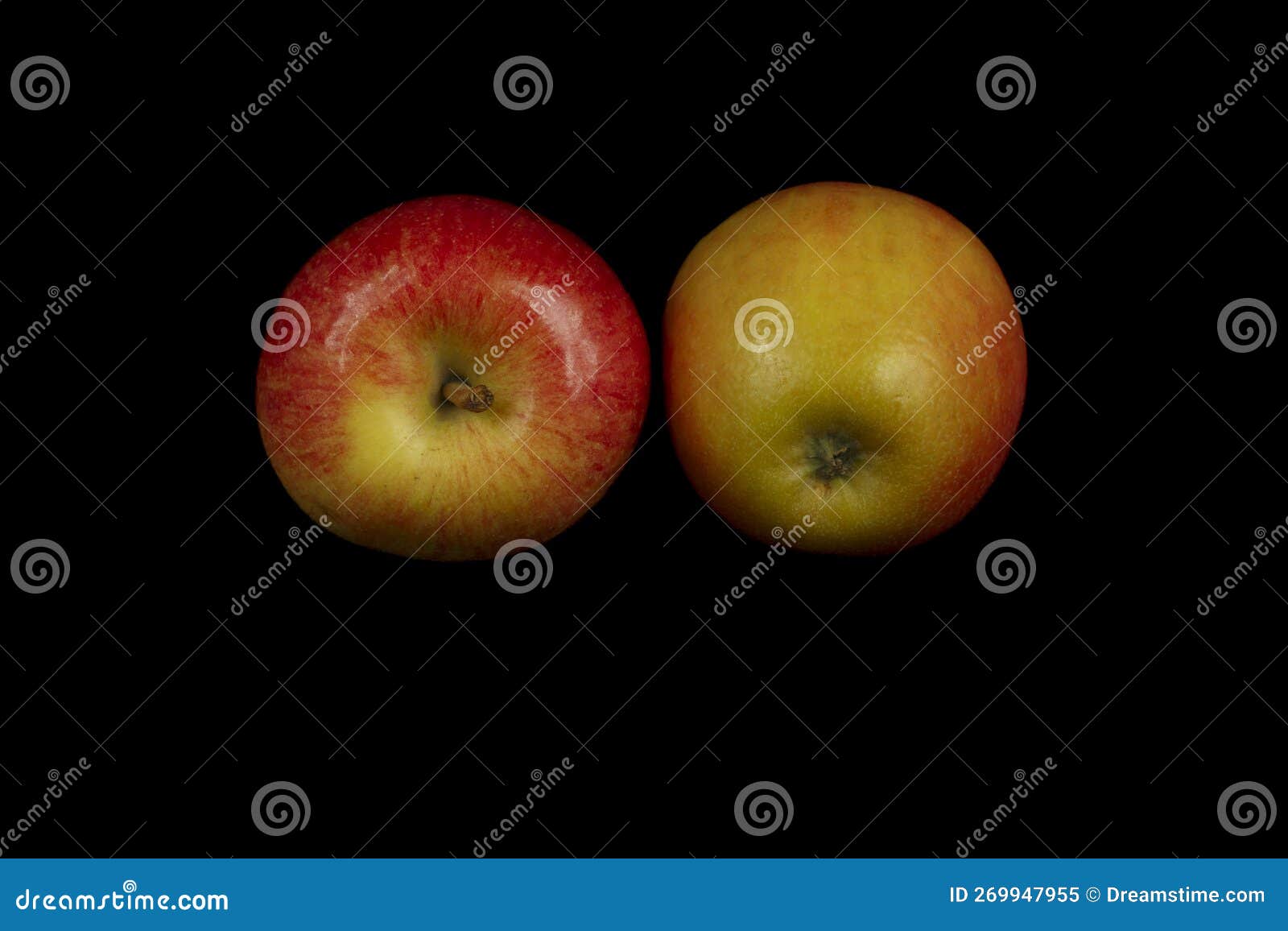 Apple front and back stock image. Image of shape, lifestyle - 269947955