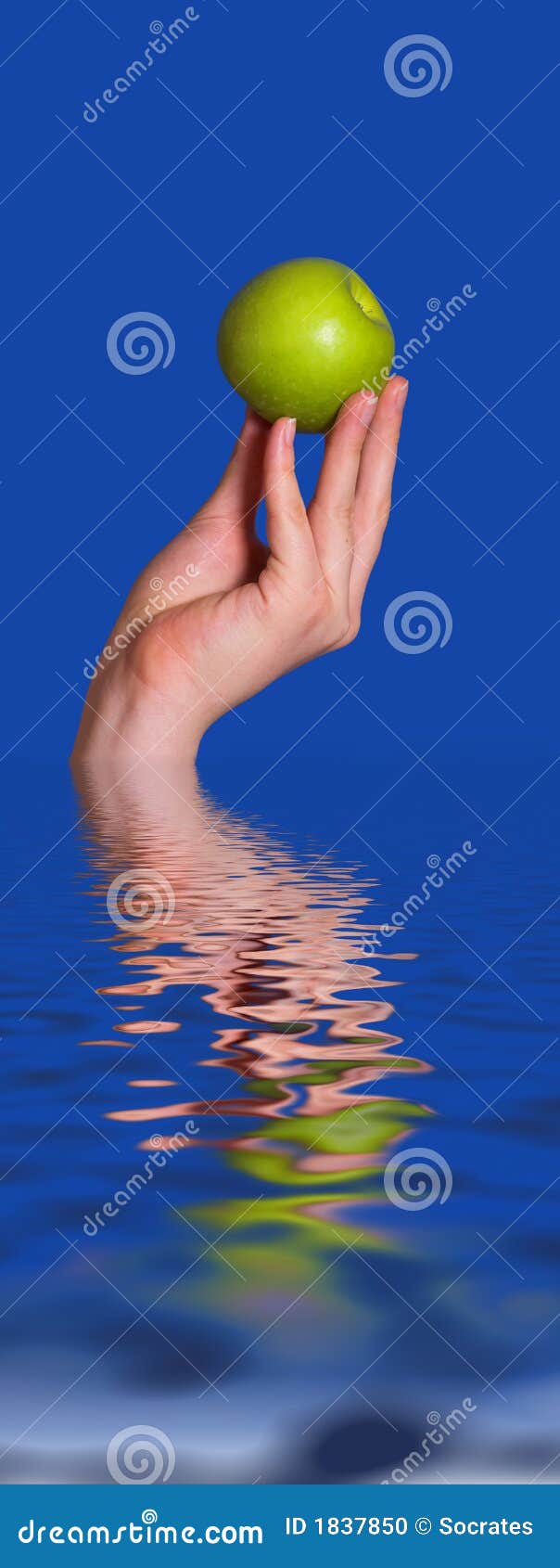 Apple of wisdom stock photo. Image of colour, losing, education - 1837850