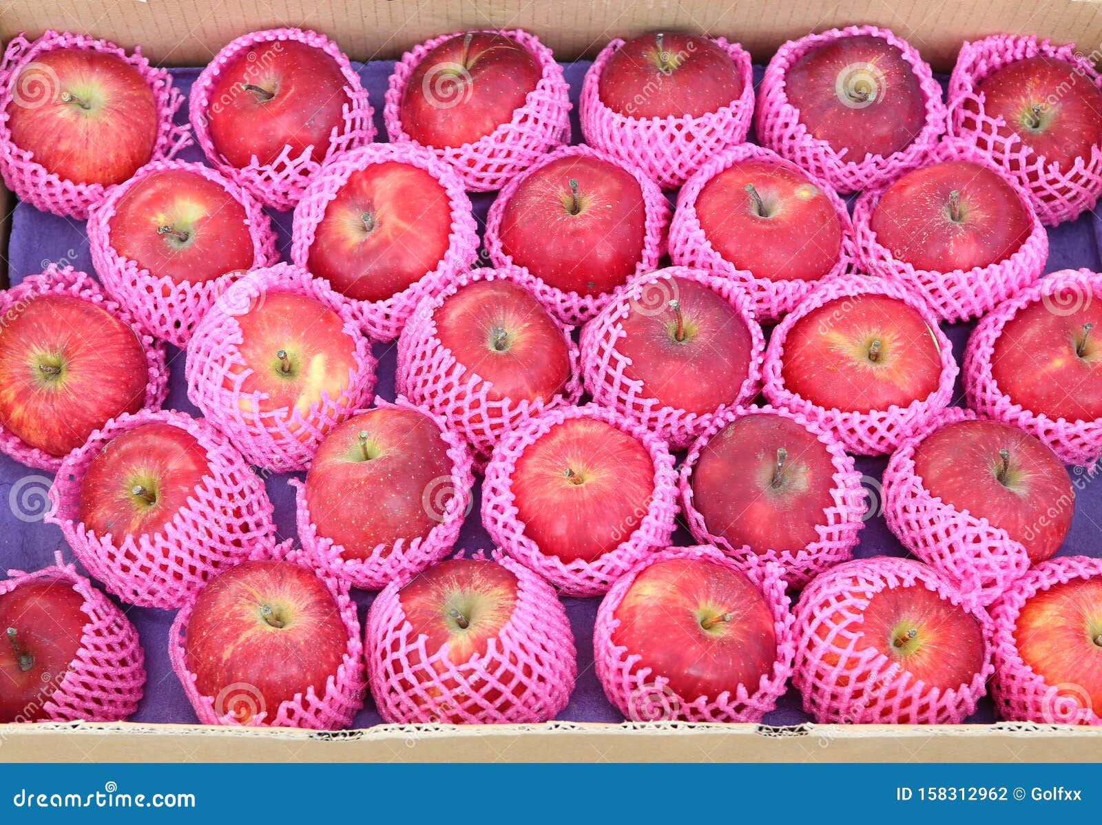 Apple Wrapped Sponge in Box Stock Photo - Image of commerce, packaging ...