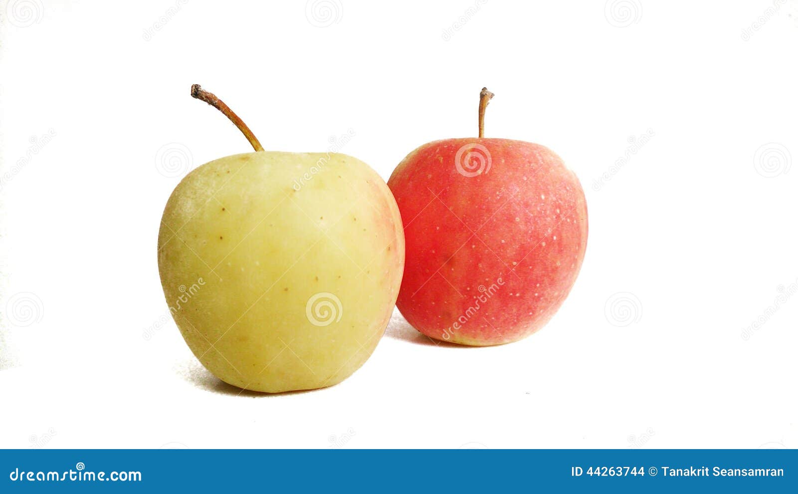 Apple yellow and red stock photo. Image of apple, mini - 44263744