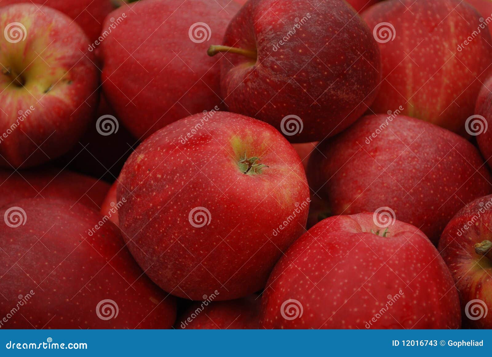 383 Spotted Apples Stock Photos - Free & Royalty-Free Stock Photos from ...