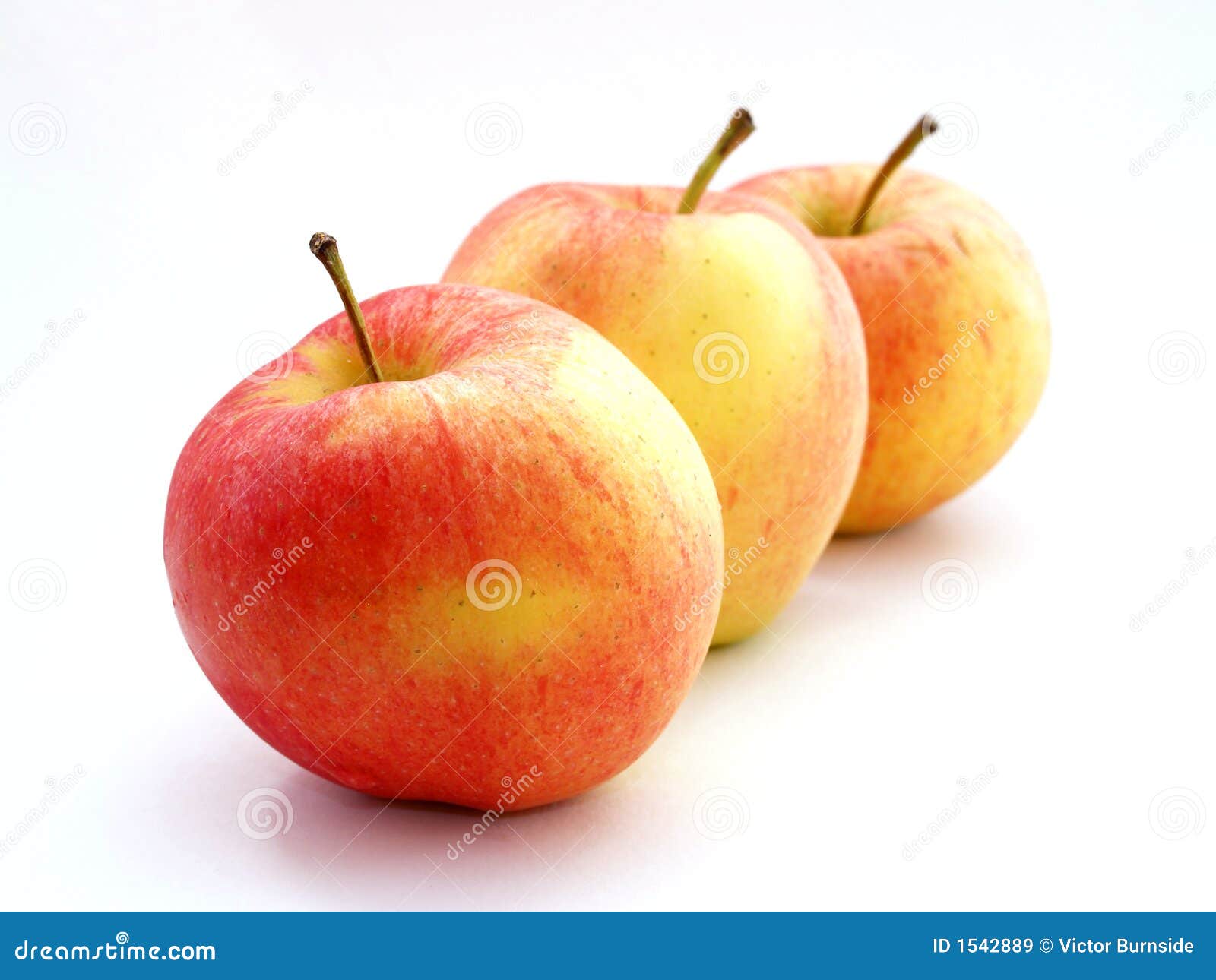 Apples stock image. Image of sweet, stalks, fruit, fresh - 1542889