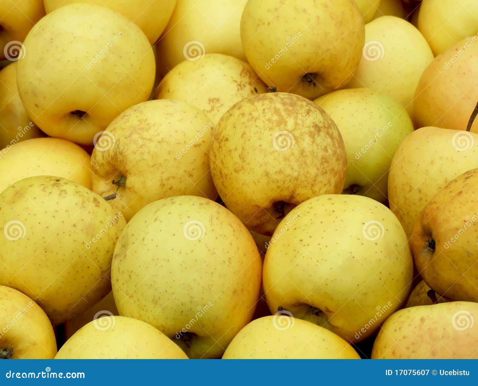 Apples stock image. Image of light, yellow, fruit, tasty - 17075607