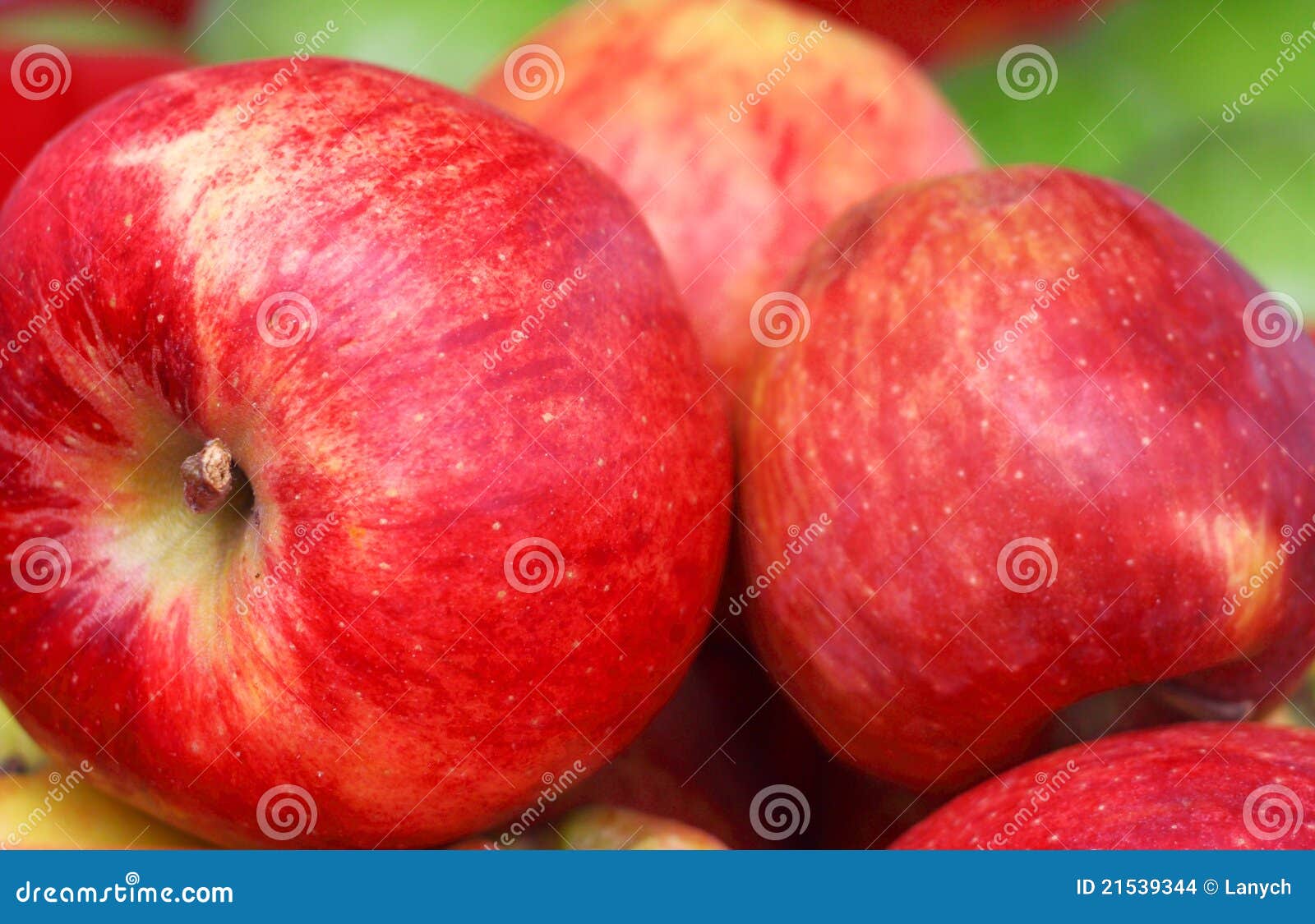 Apples stock photo. Image of delicious, round, bright - 21539344