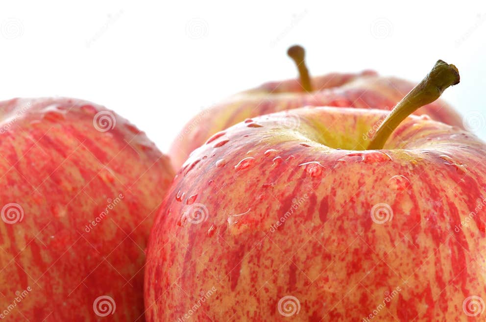 Apples stock photo. Image of apple, objects, freshness - 24608332