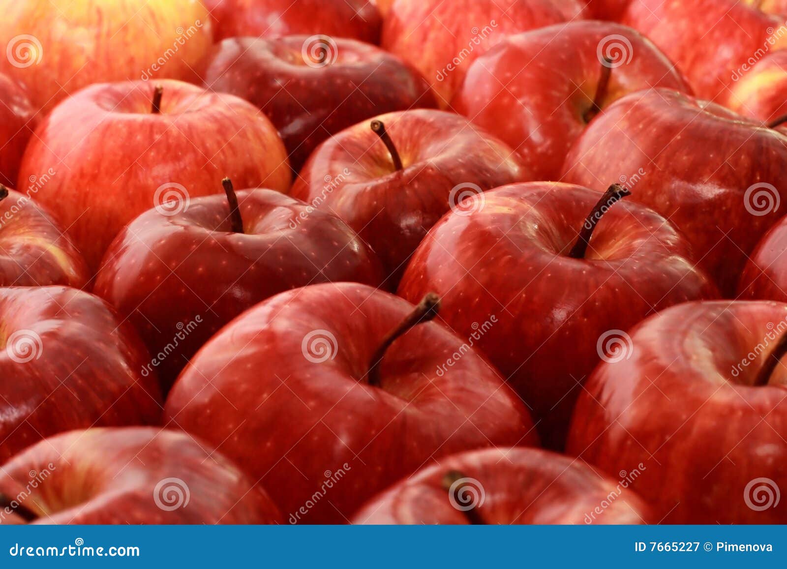 Apples stock image. Image of healthy, isolated, large - 7665227