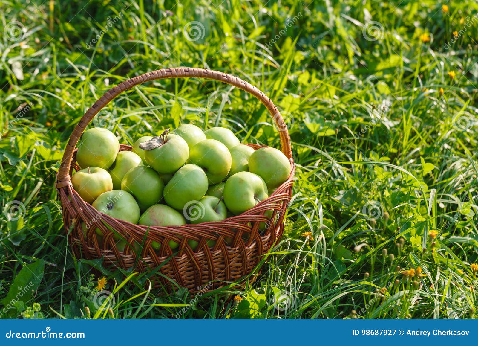 Apples Antonovka stock image. Image of closeup, white - 98687927