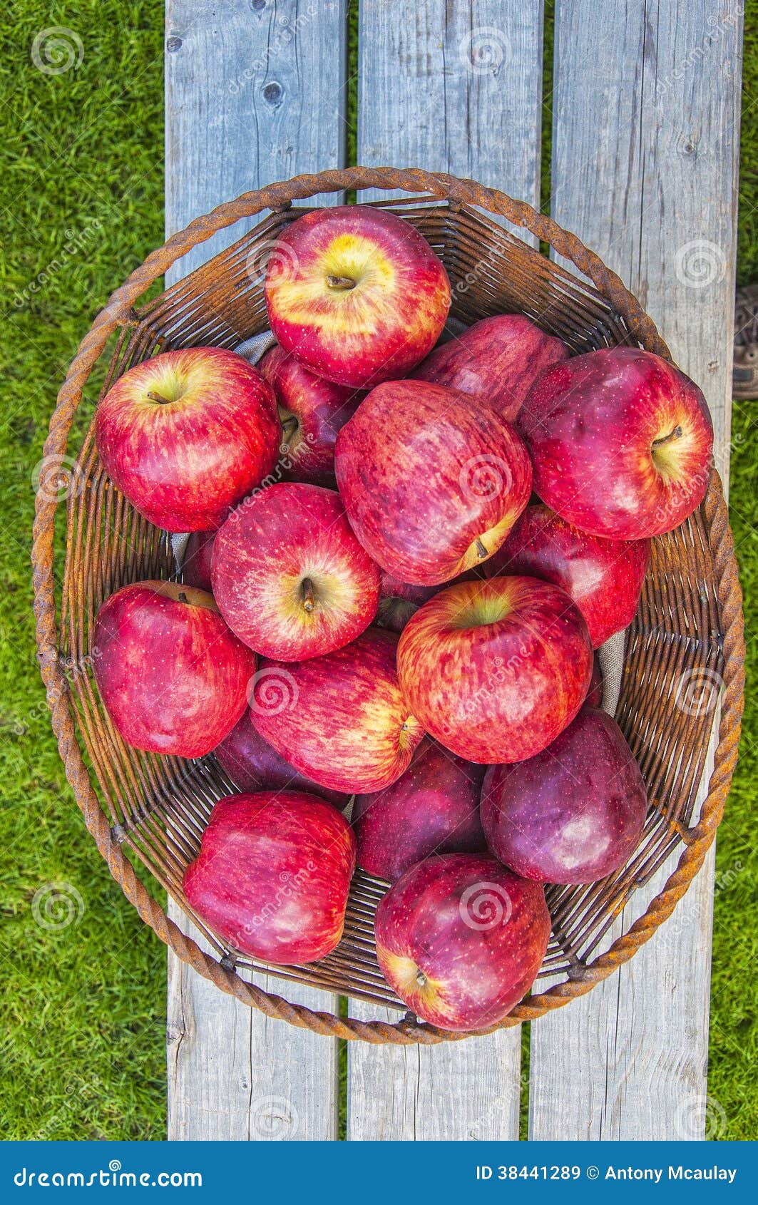 Apples aplenty stock image. Image of background, food - 38441289