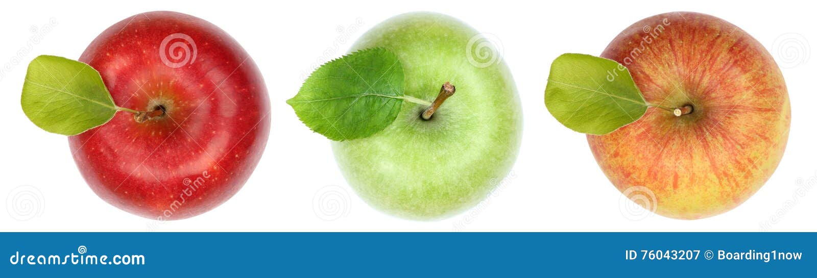Apples Apple Fruit Fruits Top View Isolated on White Stock Image ...