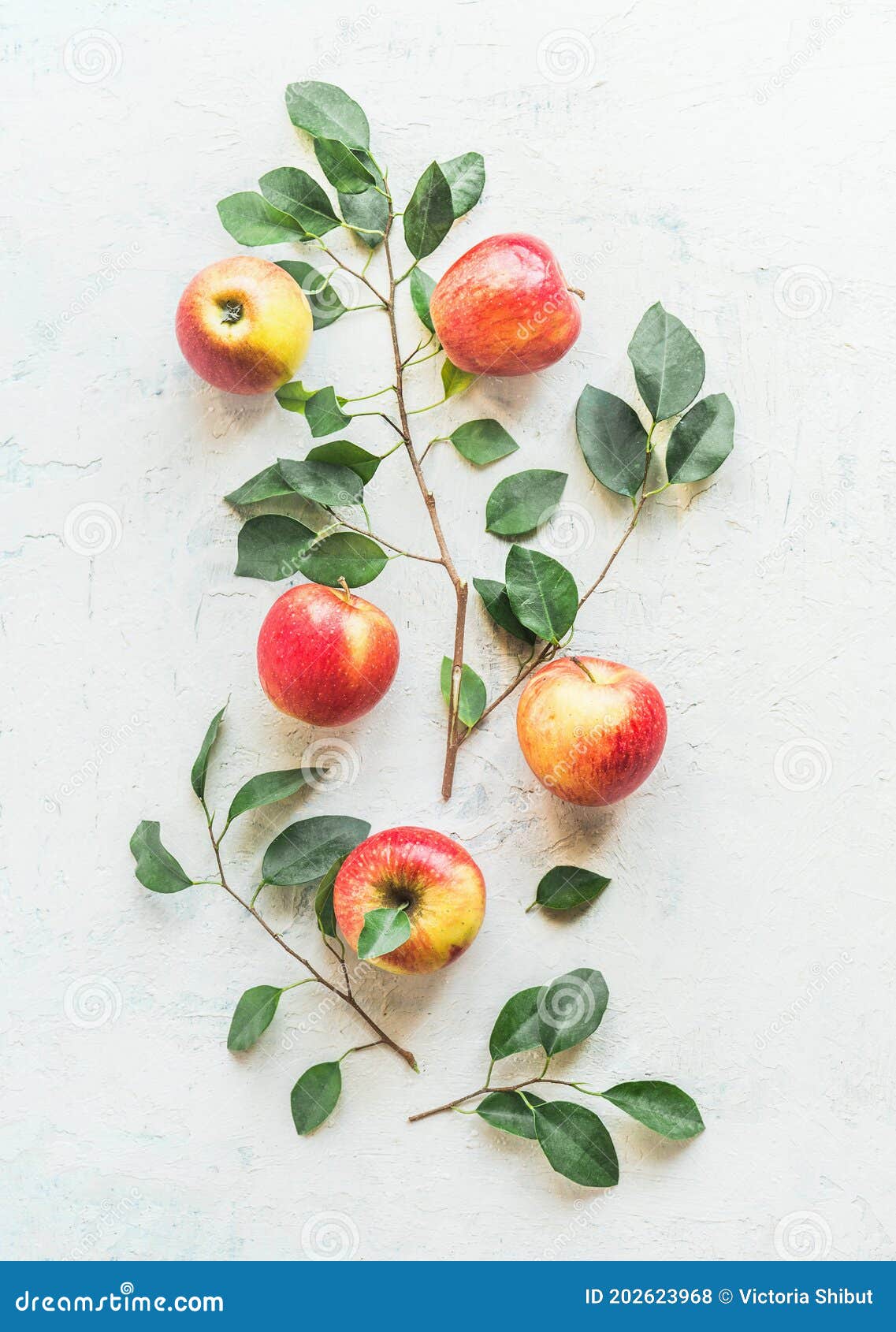 Apples and Apple Tree Twigs with Green Leaves Pattern on White ...