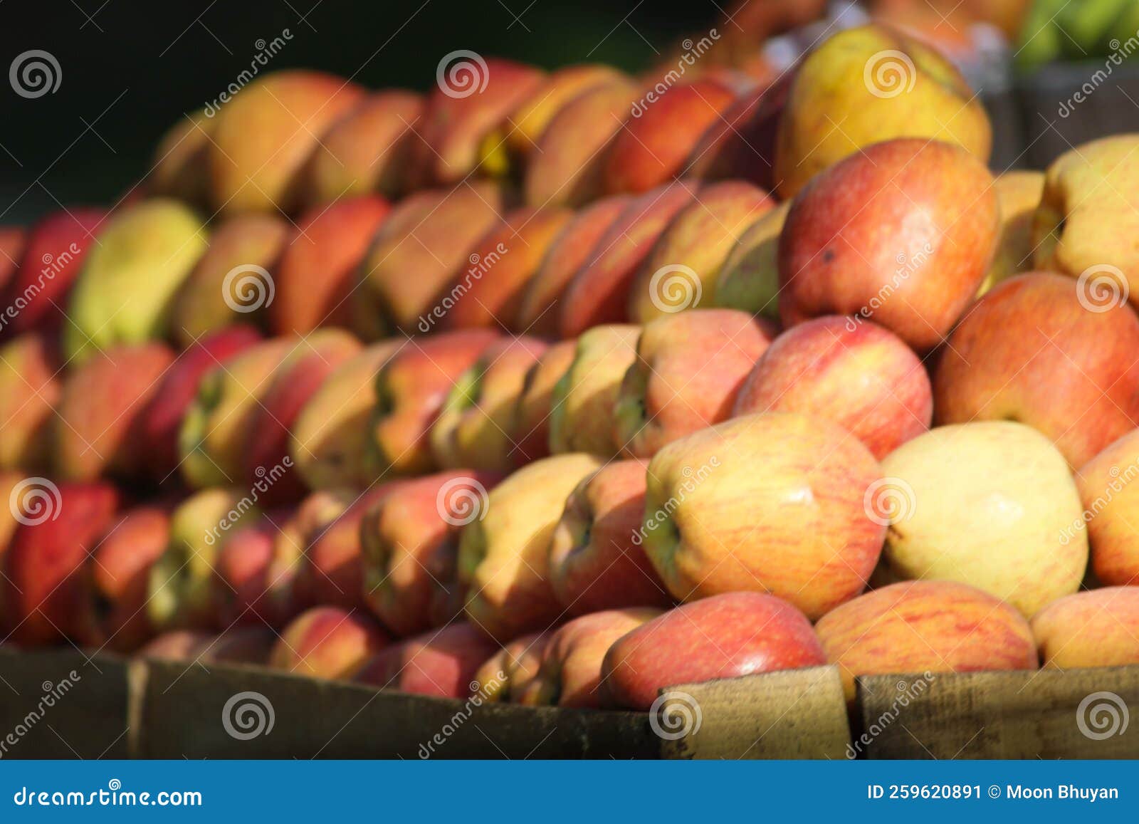 Apples stock image. Image of produce, leaf, dish, multiple - 259620891
