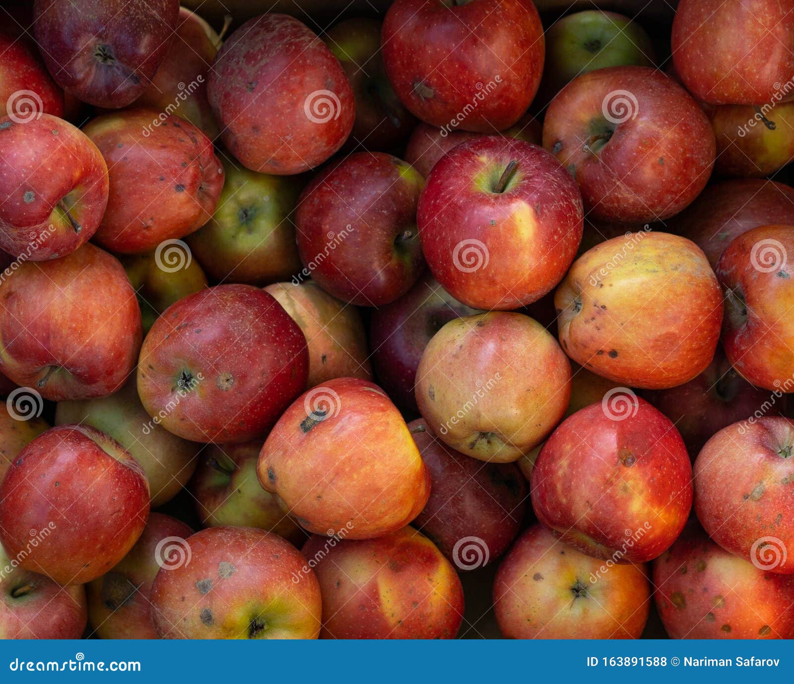 Apples As Background and Texture Stock Photo - Image of bunch, creative ...