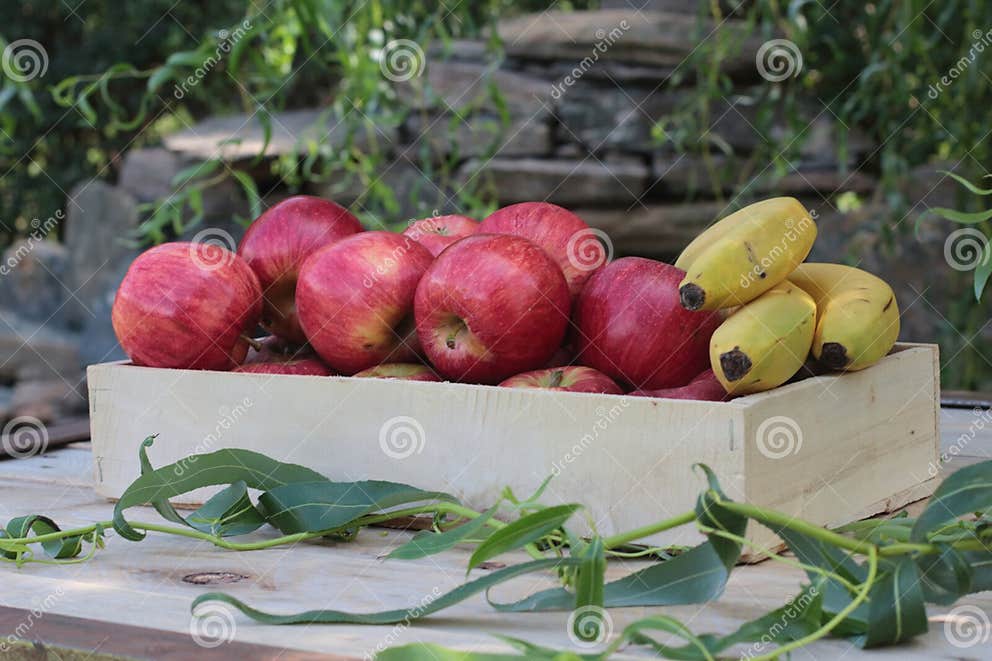 Apples and Bananas in a Box on a Table Stock Photo - Image of variety ...