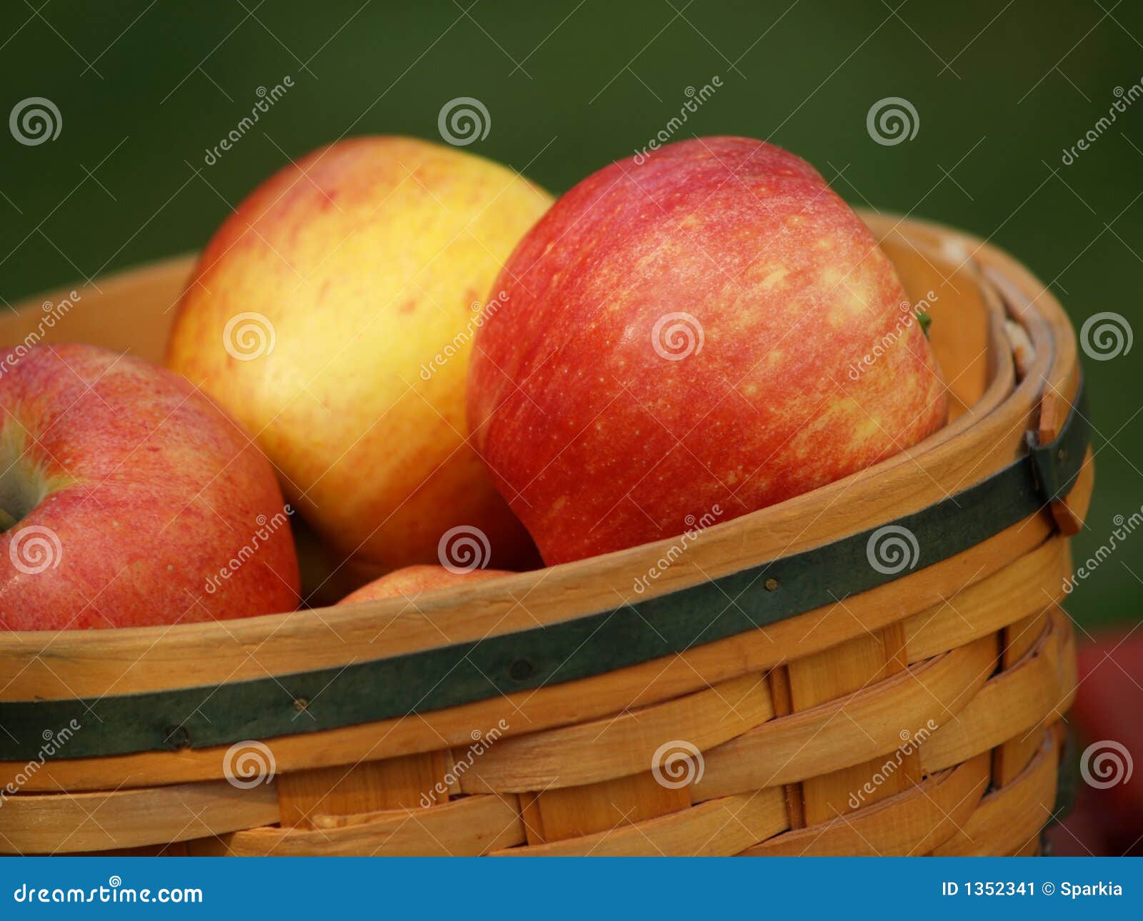 Apples in basket stock image. Image of fruit, produce - 1352341