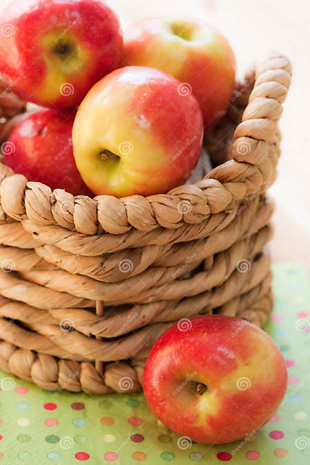 Apples in a basket stock photo. Image of lady, fresh - 20337472