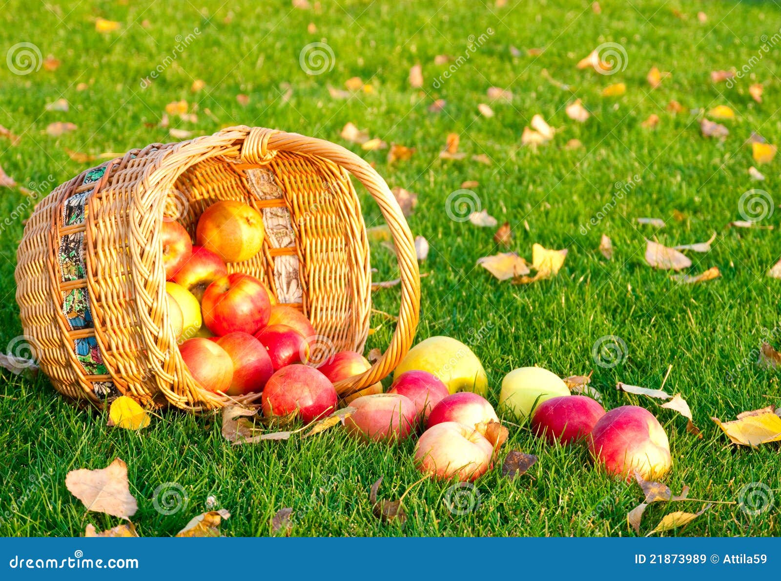 Apples in a basket stock image. Image of bright, diet - 21873989