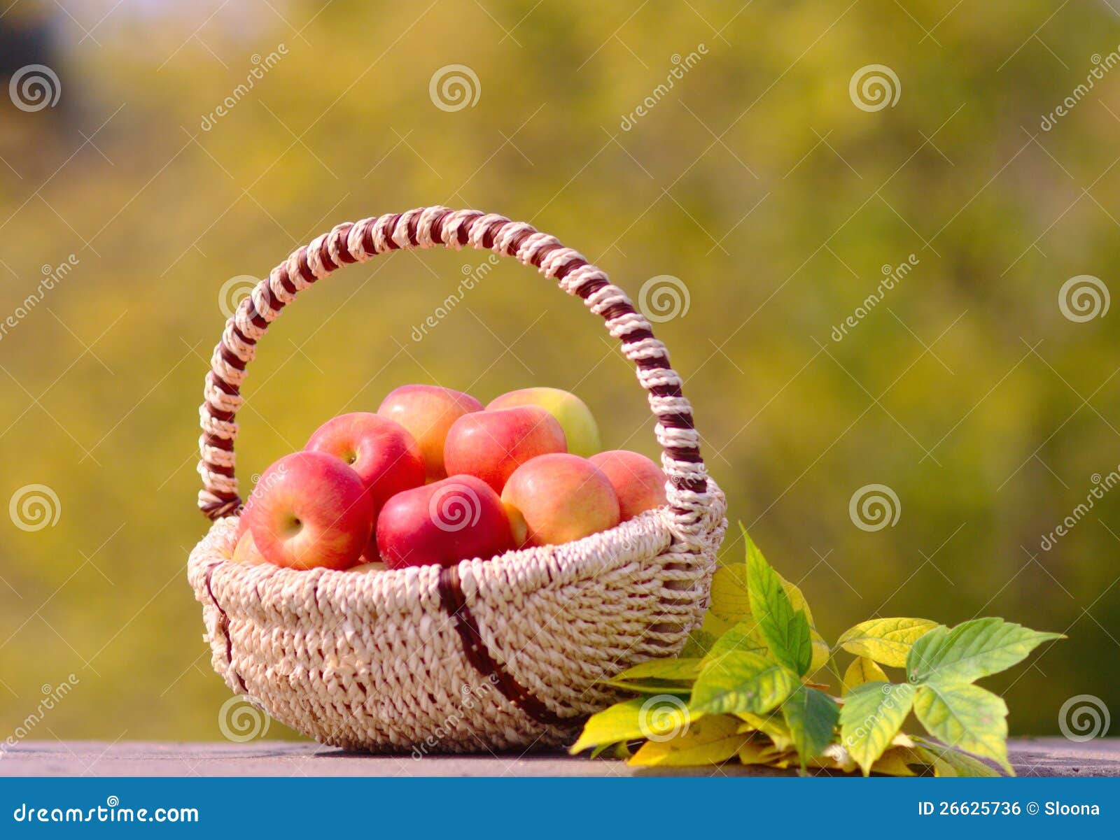 Apples in the Basket stock photo. Image of basket, yellow - 26625736
