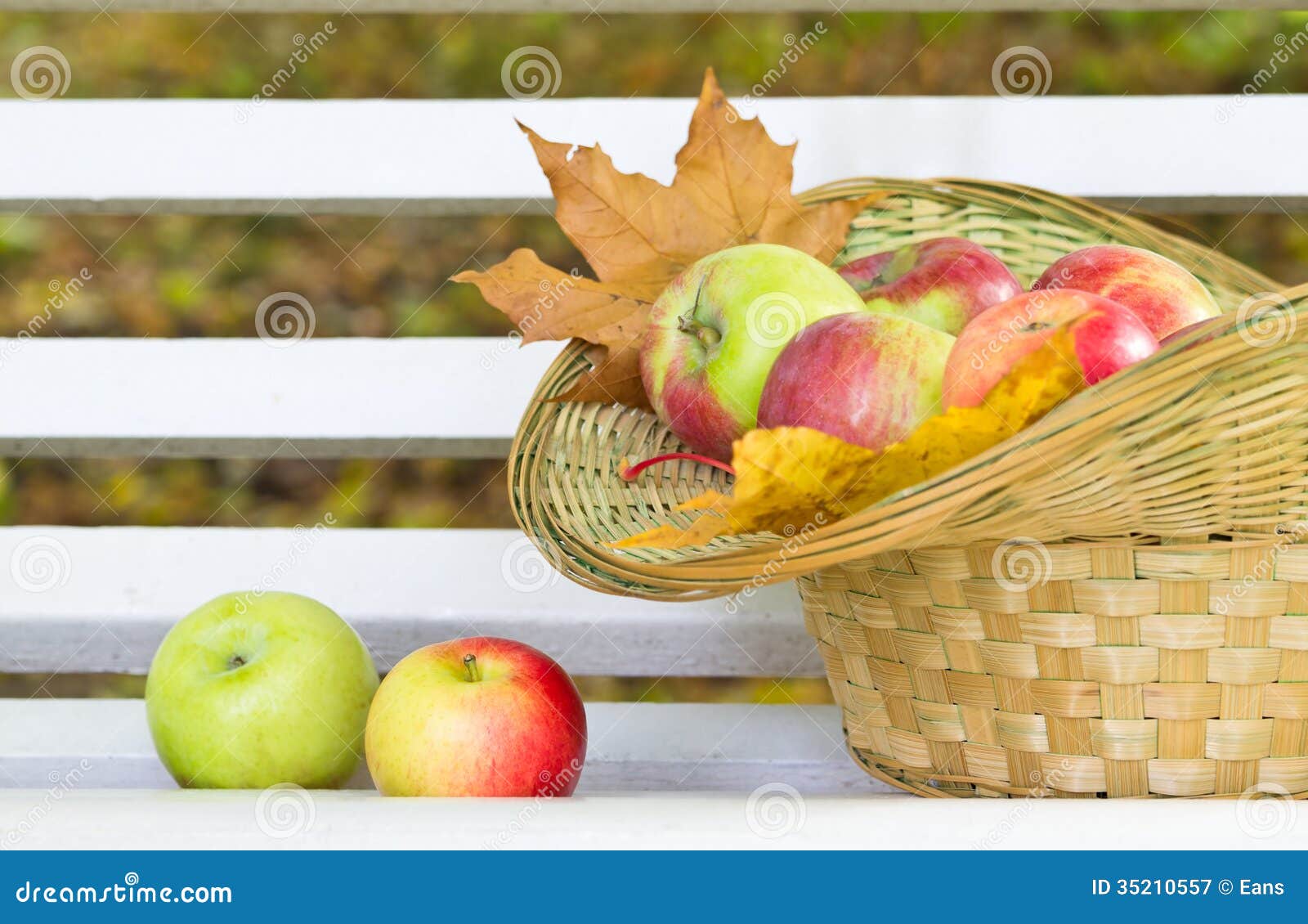 Apples on bench stock image. Image of bench, green, basket - 35210557