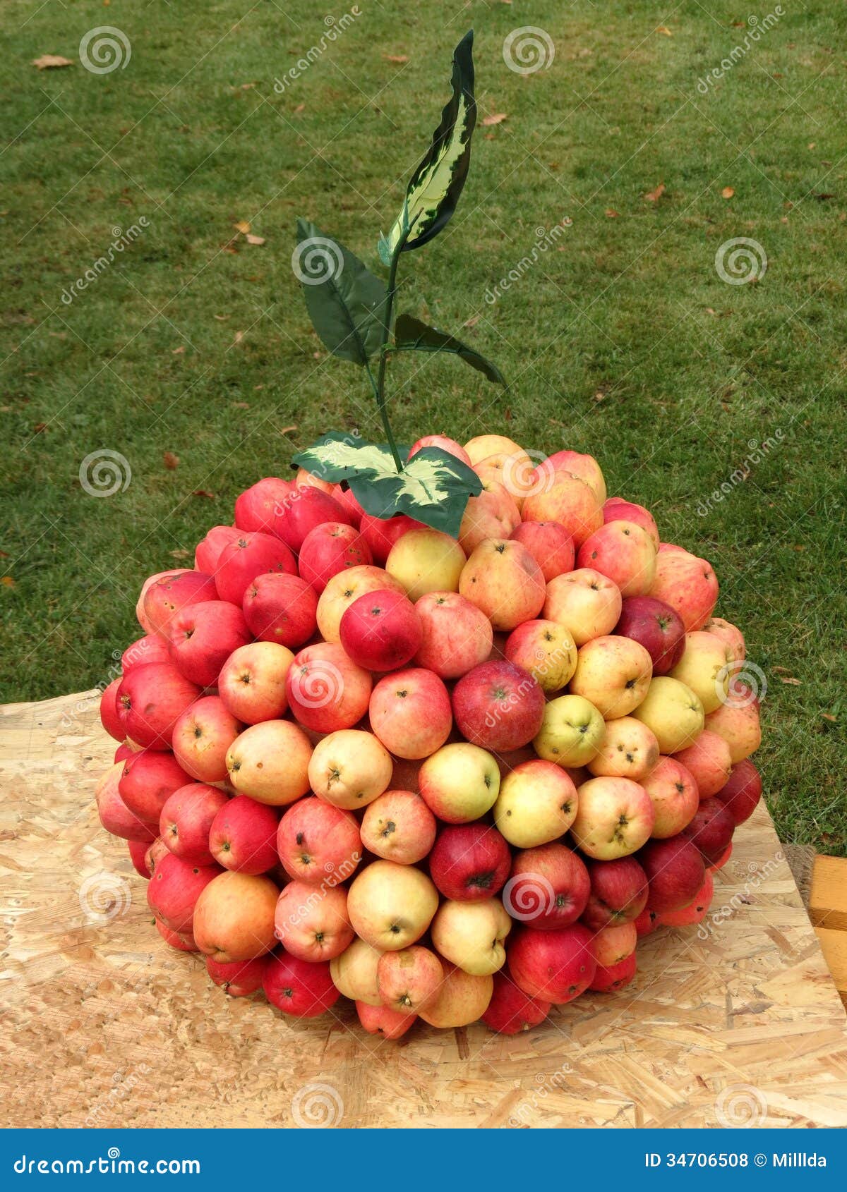 Apples stock photo. Image of round, vegetable, shape - 34706508