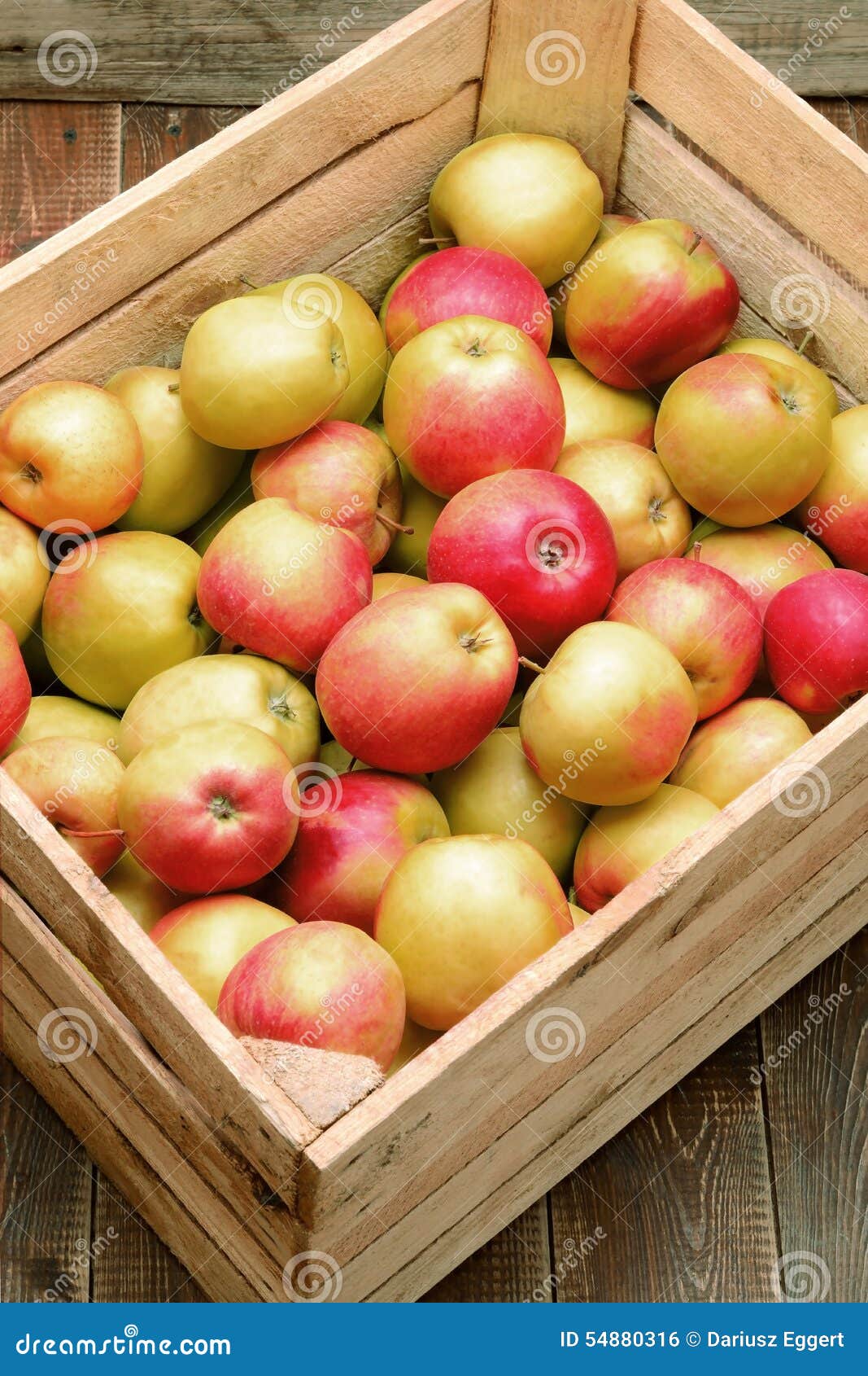 Apples in a box. stock photo. Image of nature, vintage - 54880316