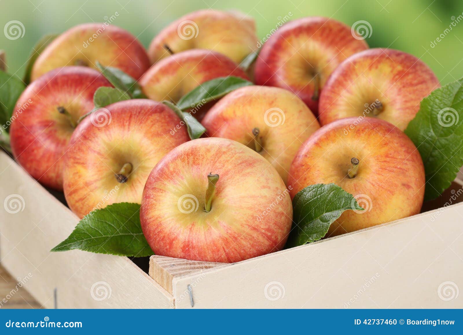 Apples in a box stock photo. Image of fruits, copyspace - 42737460