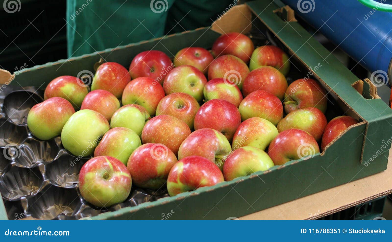 Apples in the Box, Fruit Processing Plant Stock Image - Image of diet ...