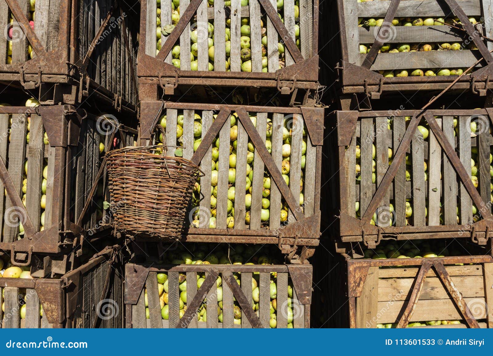 Apples in a Box in a Warehouse. Stock Image - Image of agriculture ...