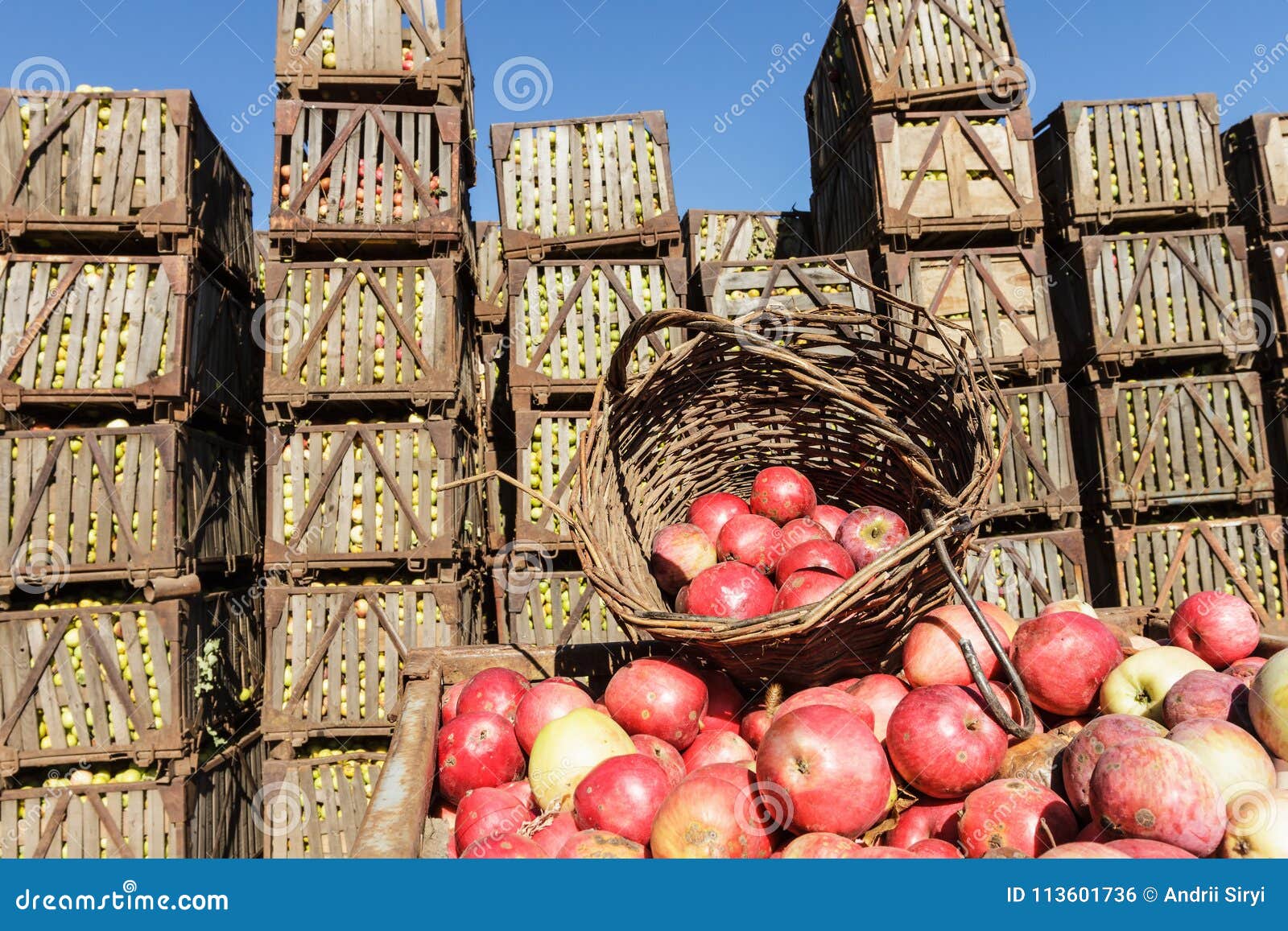 Apples in a Box in a Warehouse. Stock Photo - Image of fruit ...