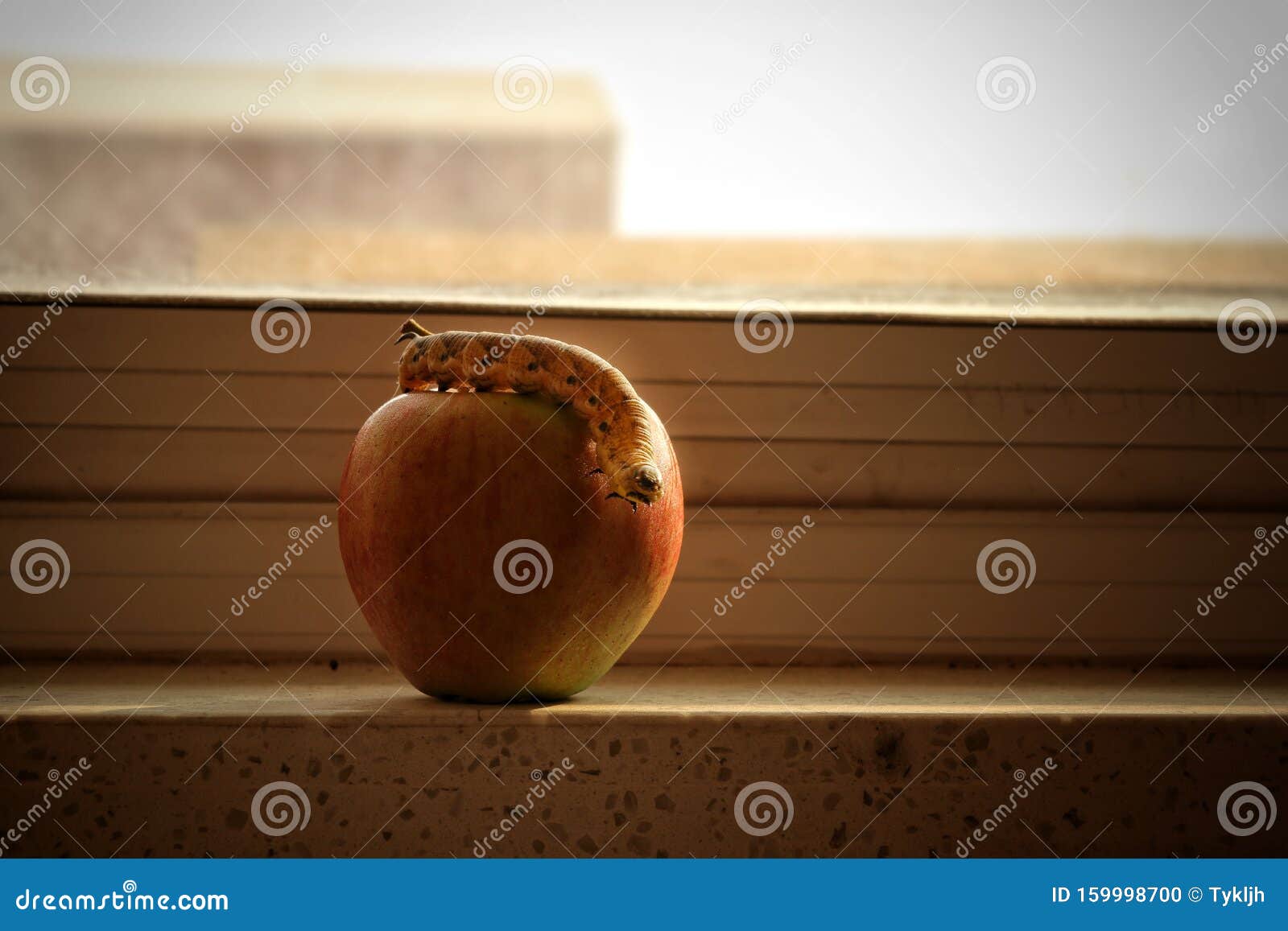 Apple worm stock photo. Image of indoors, single, together - 159998700