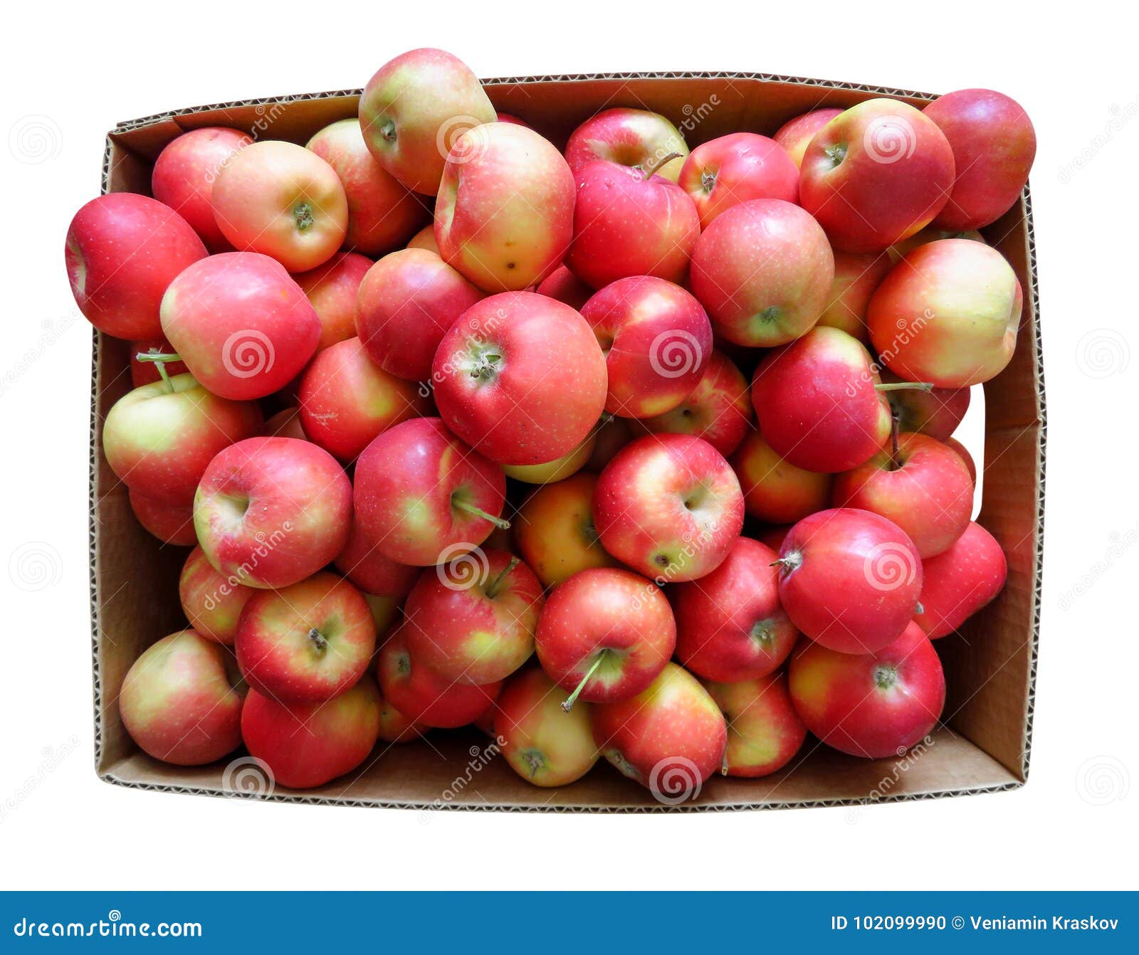 Apples in the Cardboard Box Isolated Stock Photo - Image of market ...