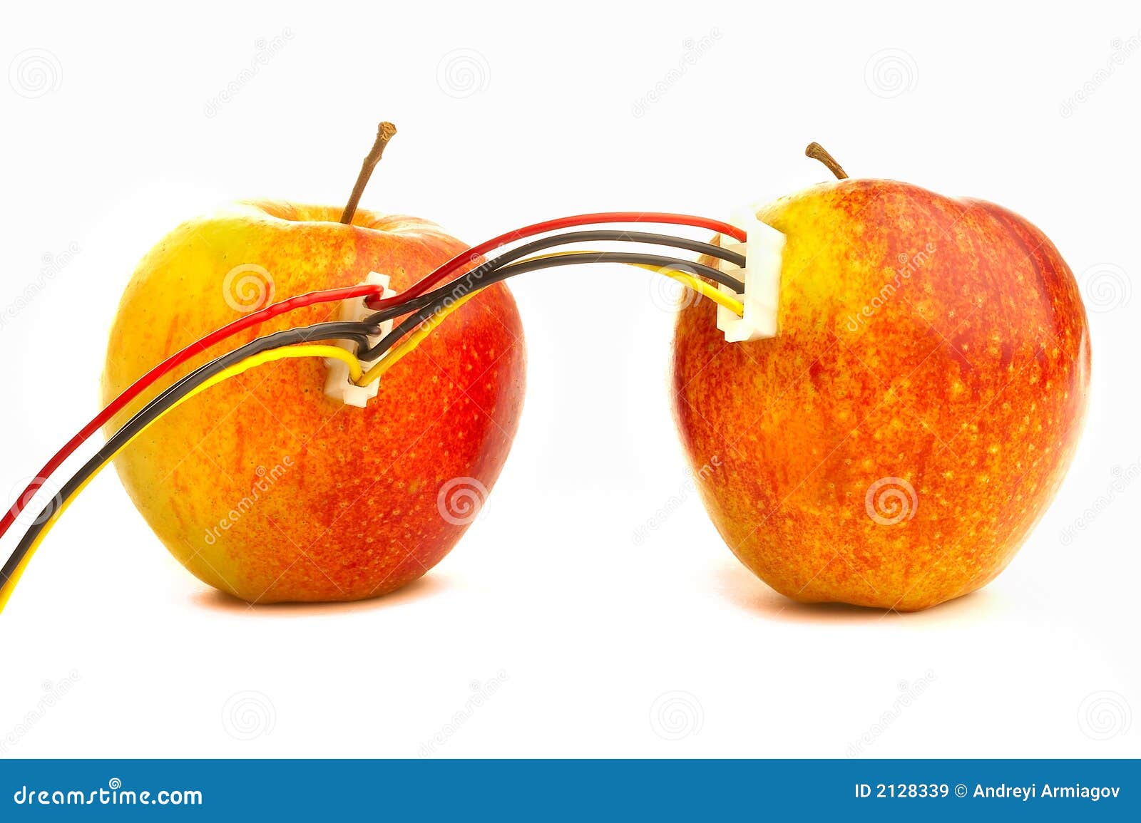 Apples connected stock image. Image of communication, apple - 2128339