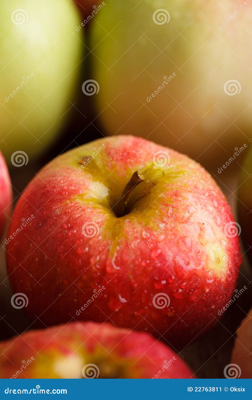Apples crop stock image. Image of fresh, diet, closeup - 22763811