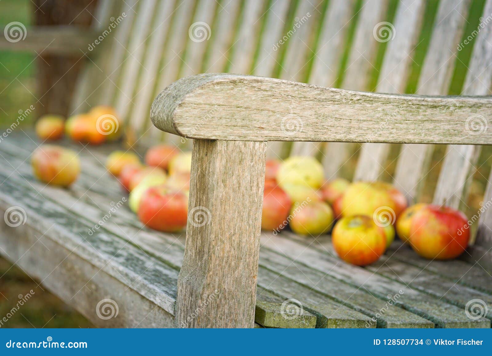Apples on Decorative Garden Bench. Stock Photo - Image of natural, food ...