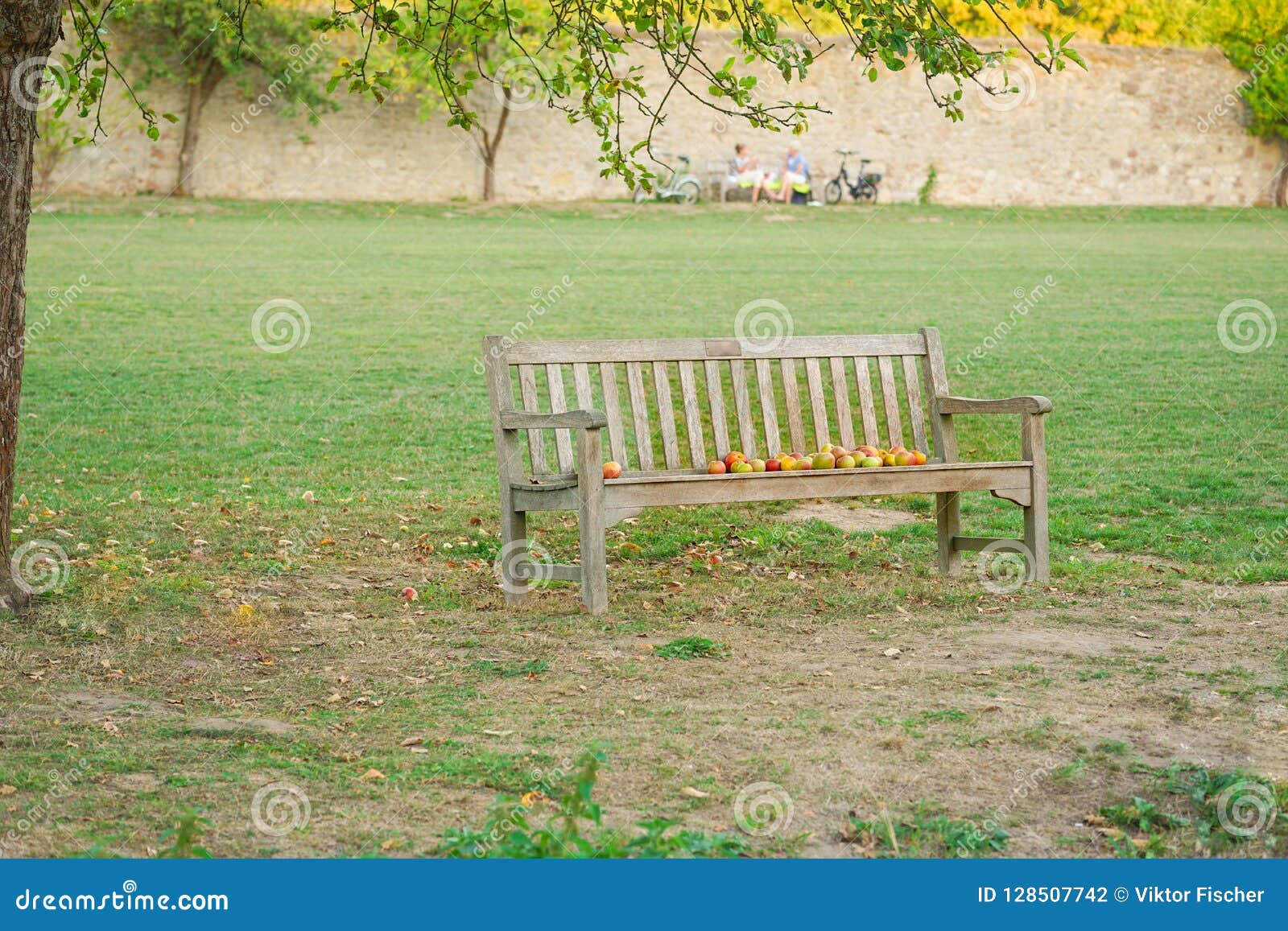 Apples on Decorative Garden Bench. Stock Photo - Image of group, angle ...