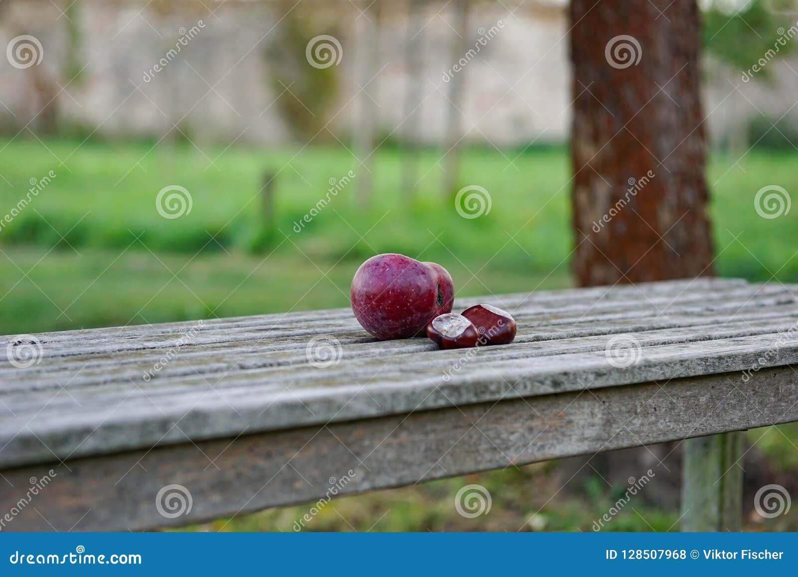 Beautiful Bokeh Effect Background. Apples on Decorative Garden Bench ...