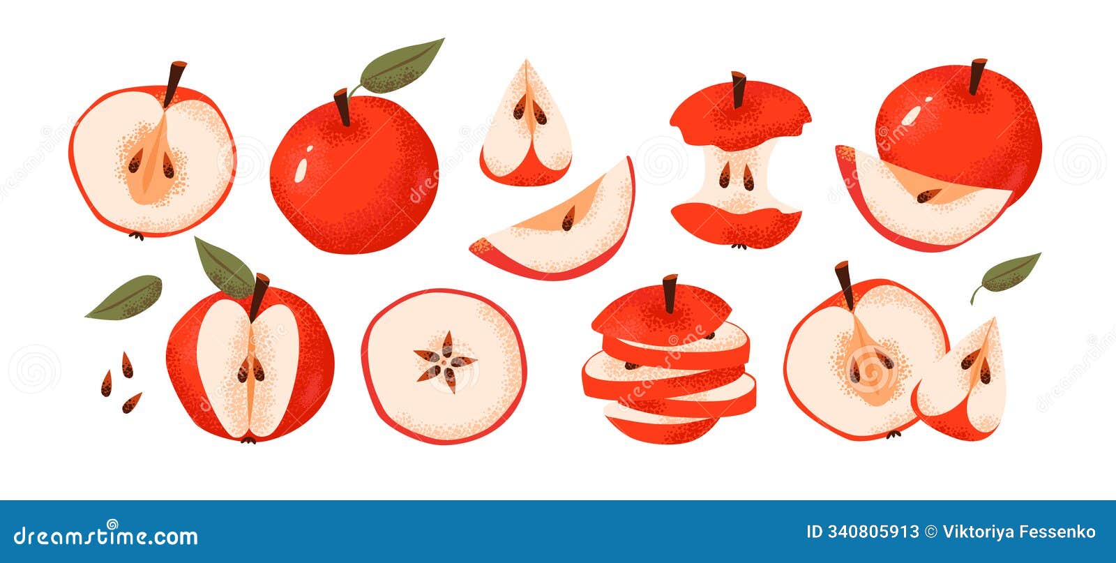 Apples in Different Forms, Slice, Whole, Core Isolated on a White ...