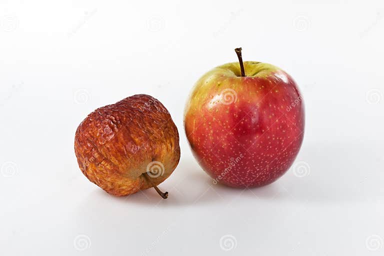 Apples in Different Stages of Ageing Stock Image - Image of form ...