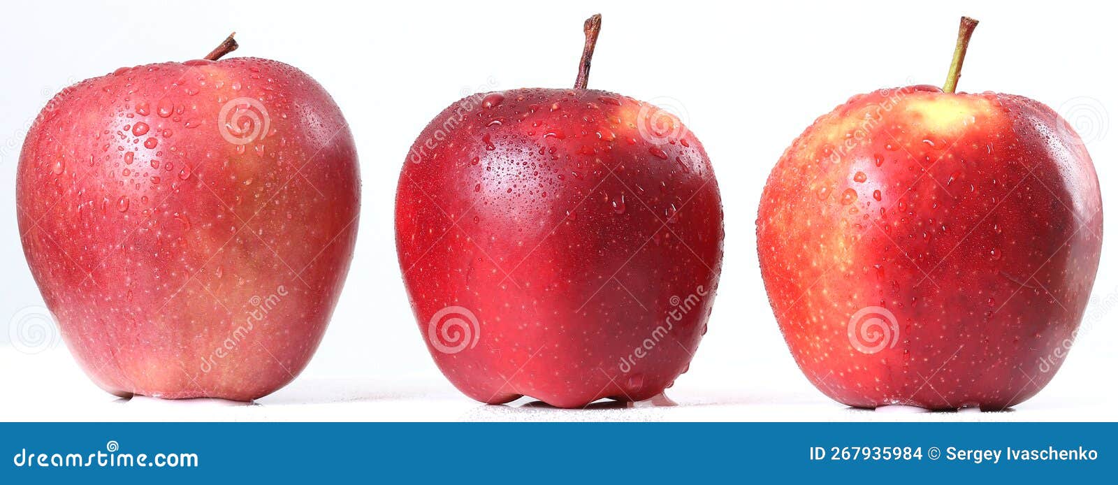 Apples of Different Varieties. Stock Photo - Image of food, light ...