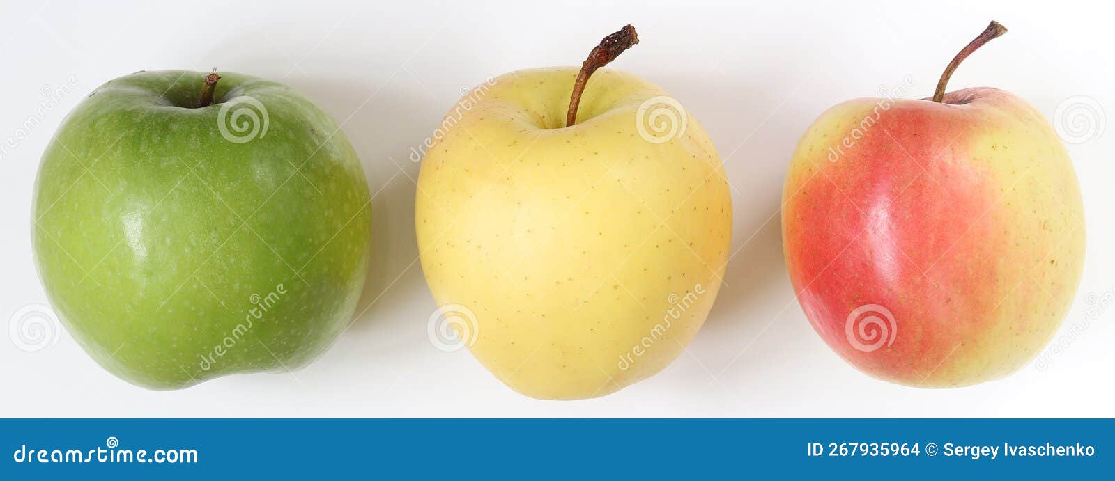 Apples of Different Varieties. Stock Photo - Image of breakfast ...