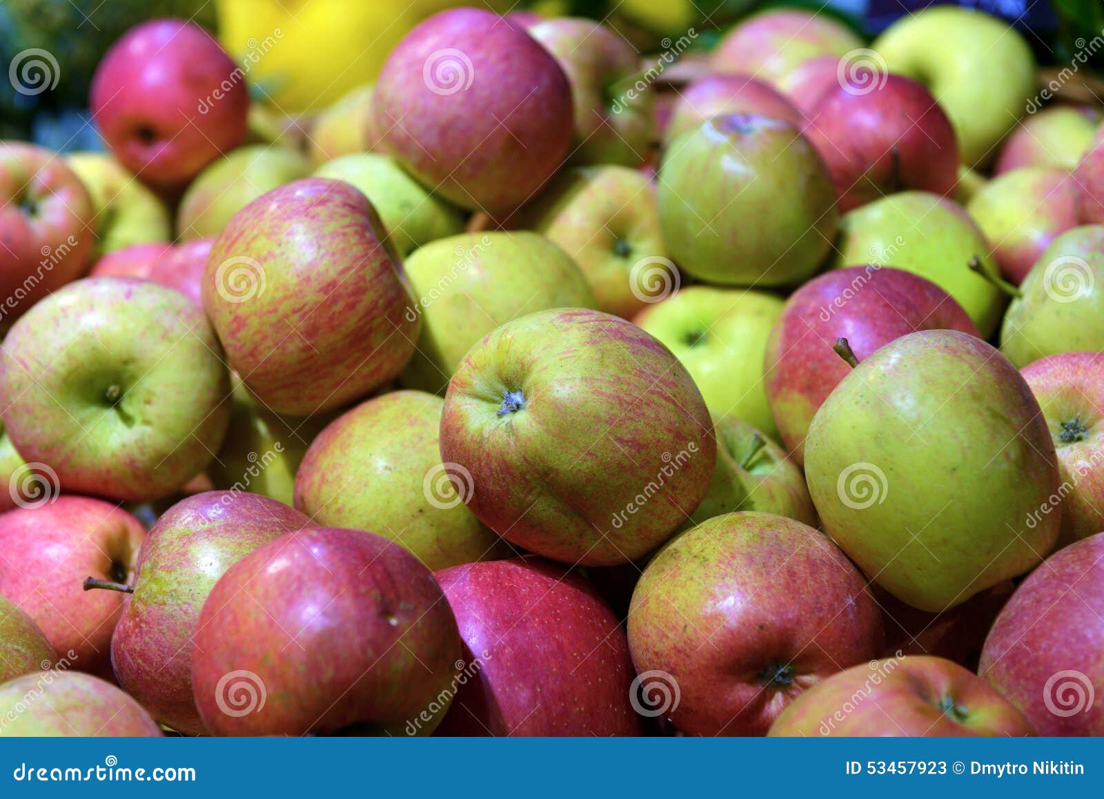 Apples on display stock image. Image of fall, display - 53457923